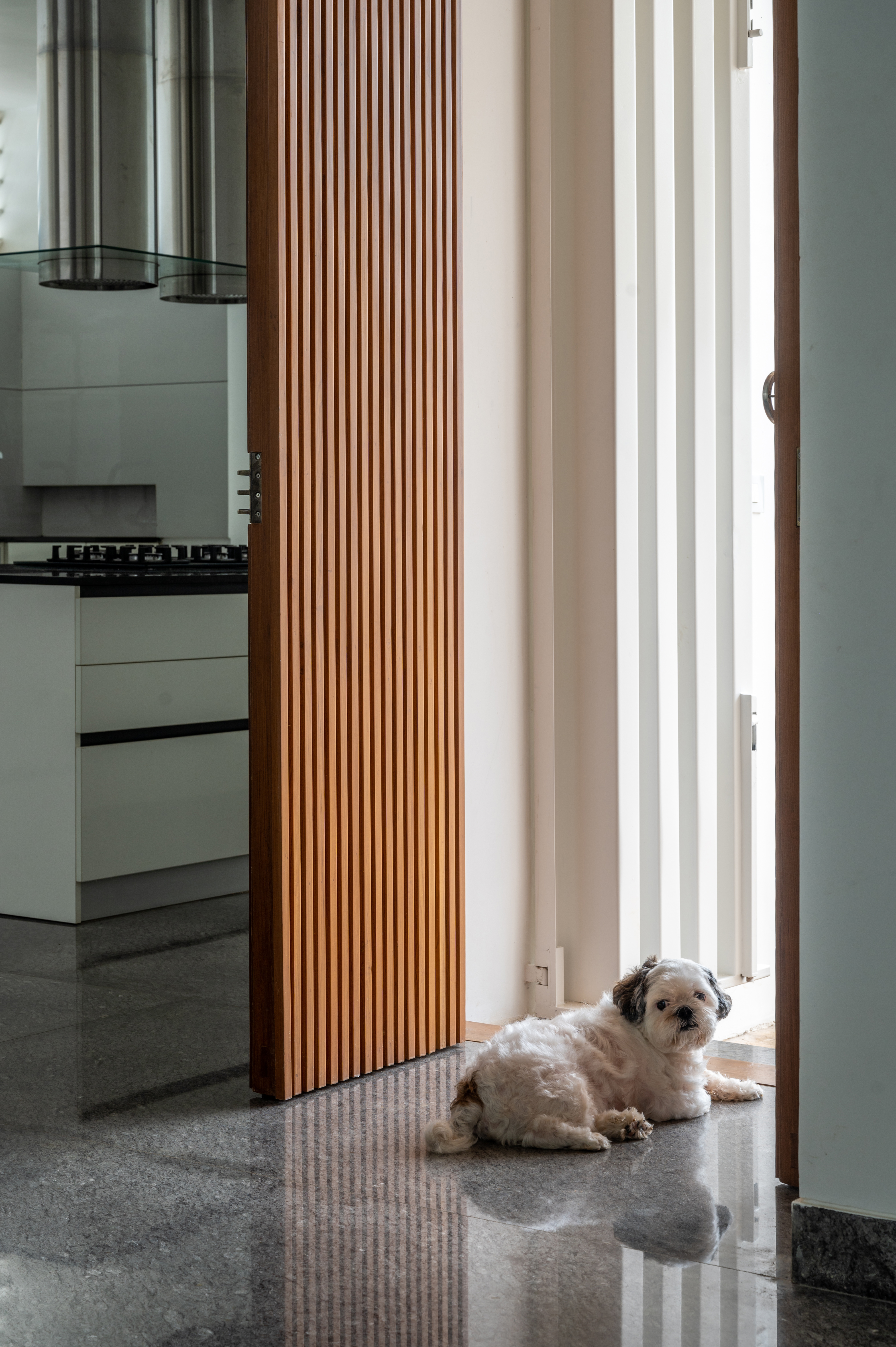 The Civil Engineer House by LID Architects - Architizer