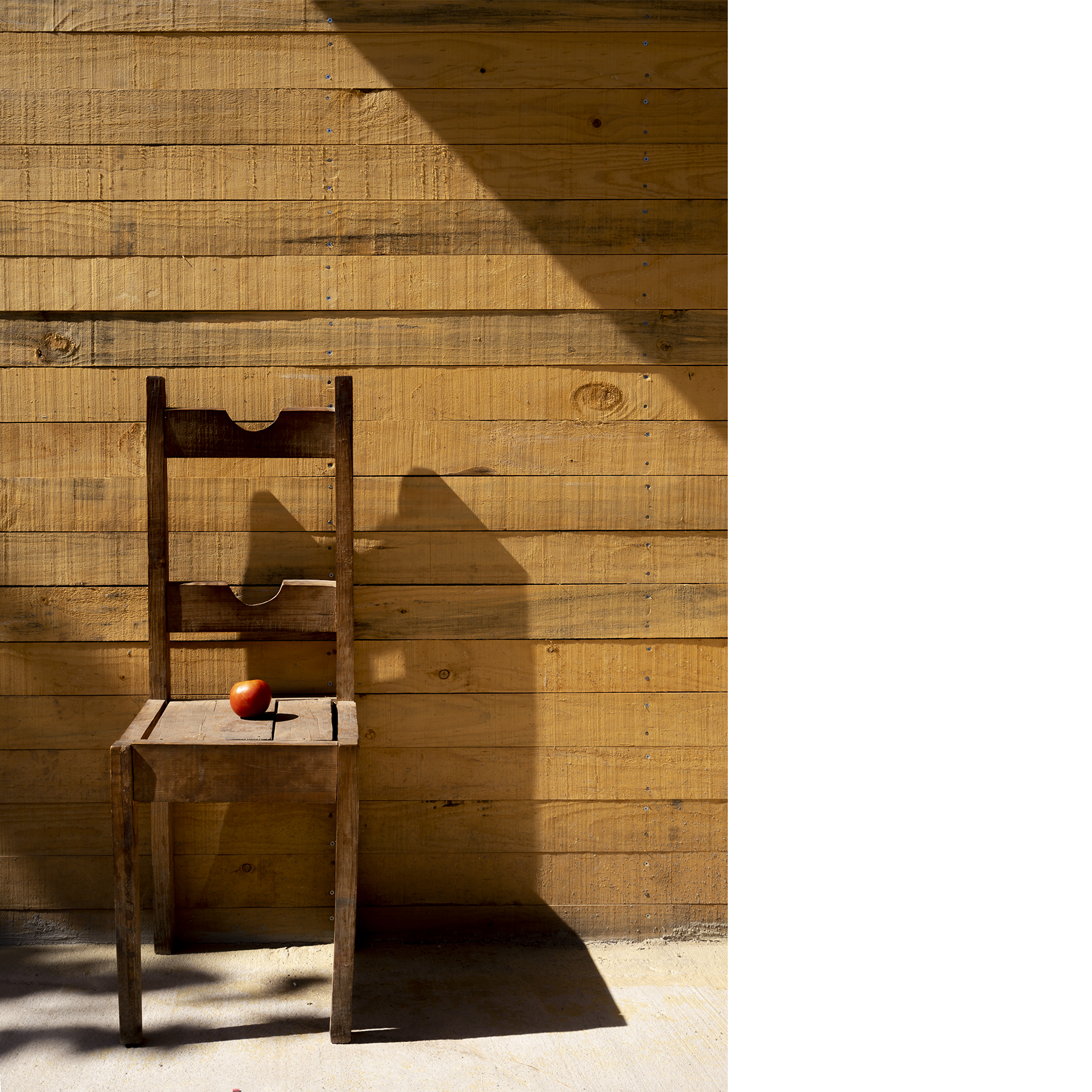 Casa Alegre 97 by J Ovando Cid, arquitectos - Architizer