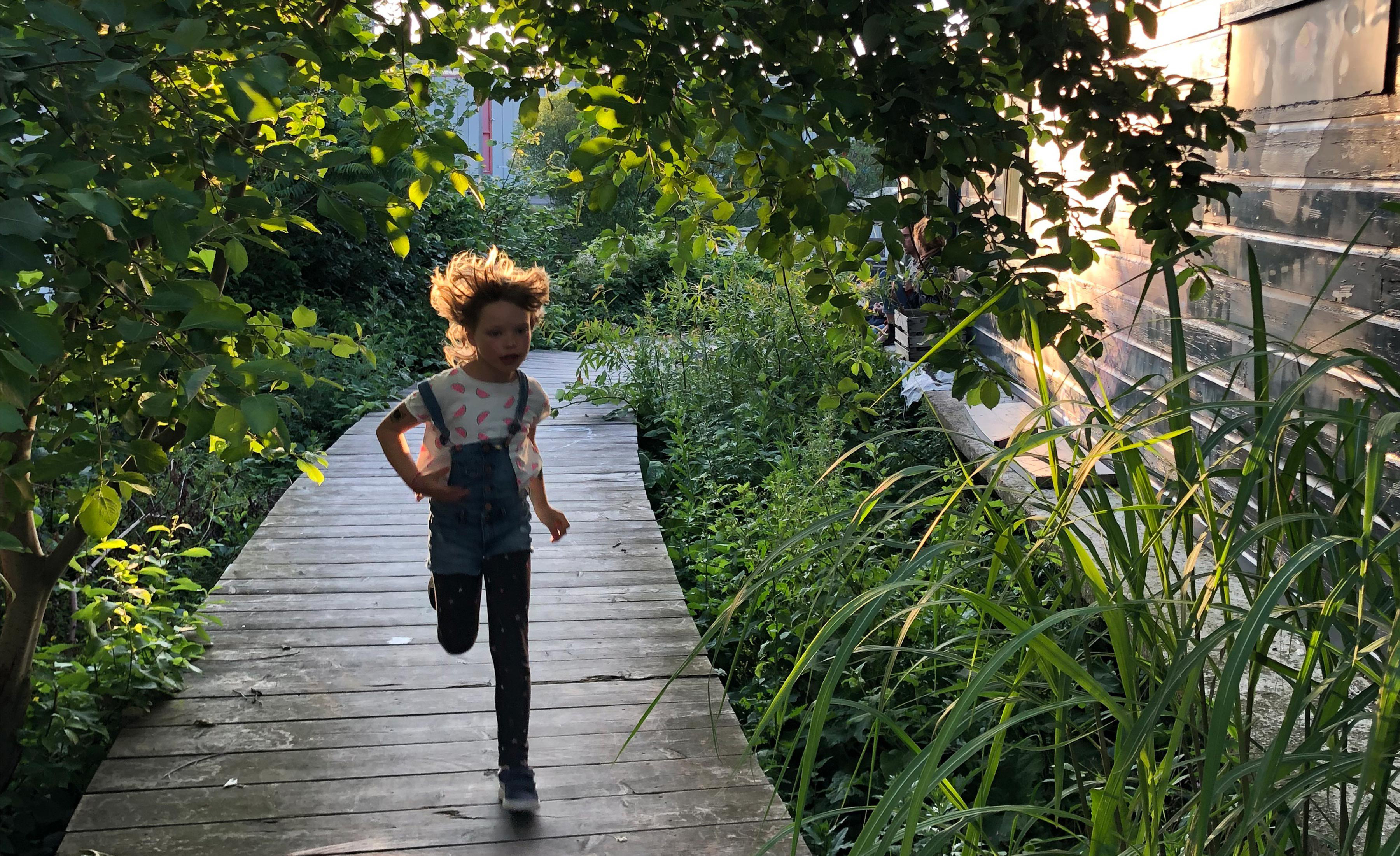 De Ceuvel by DELVA Landscape Architecture | Urbanism - Architizer