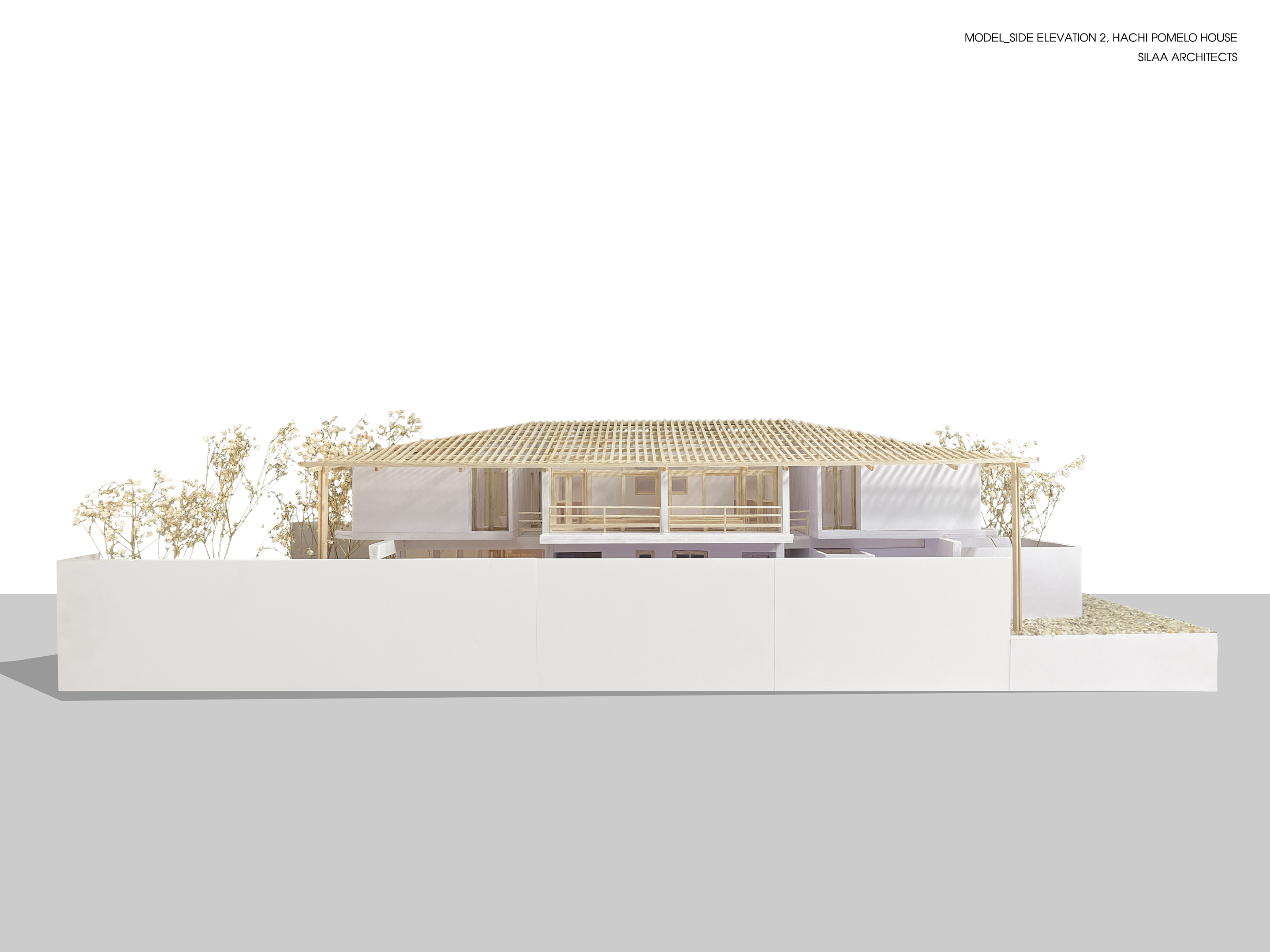 Idea 3526064: Hachi Homestay & Spa / Hachi Pomelo House by SILAA in ...