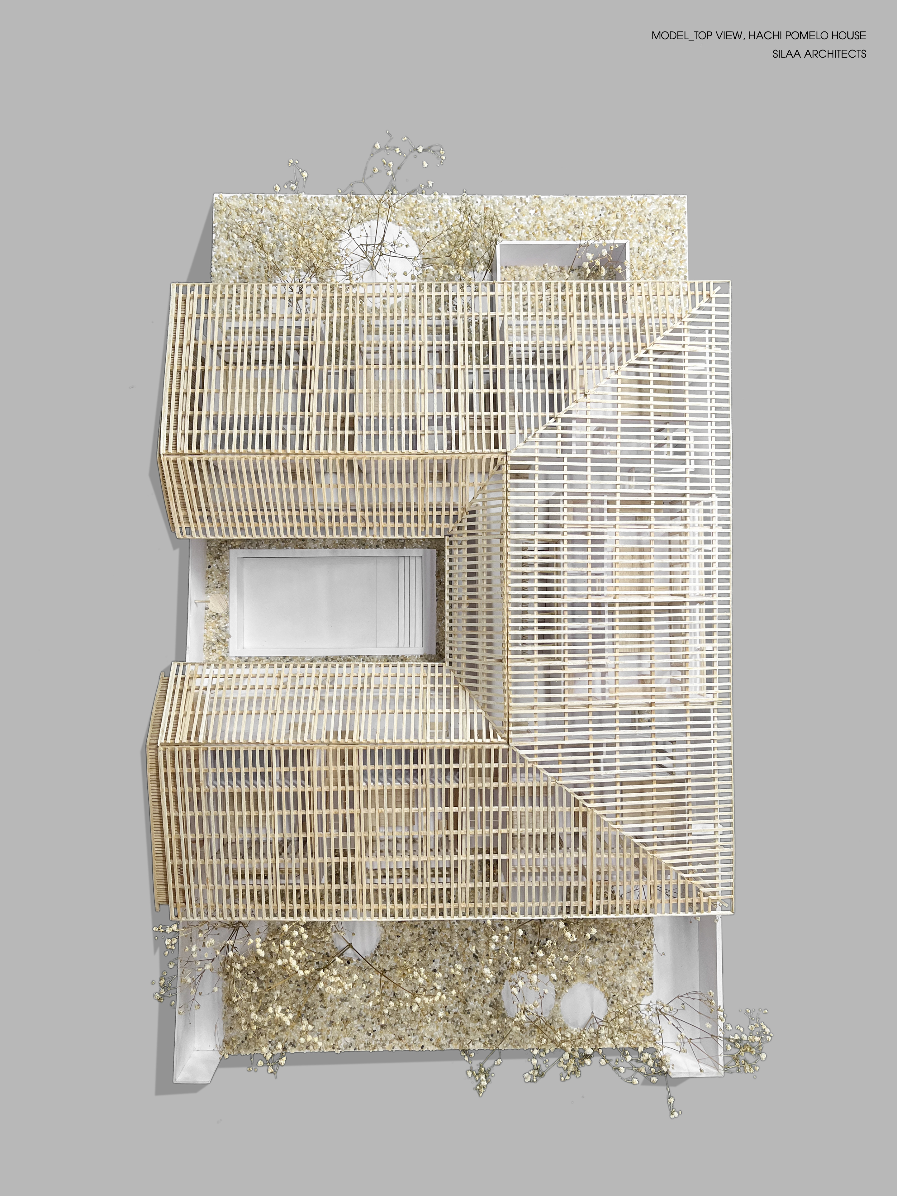 Hachi Homestay & Spa / Hachi Pomelo House by SILAA - Architizer