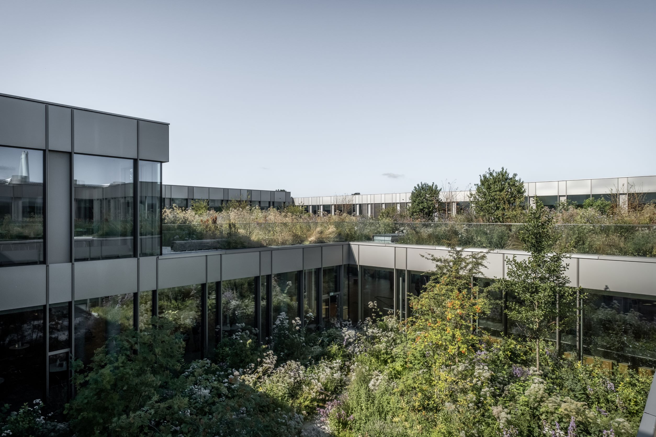 Idea 3528006: Steno Diabetes Center Copenhagen by Vilhelm Lauritzen ...