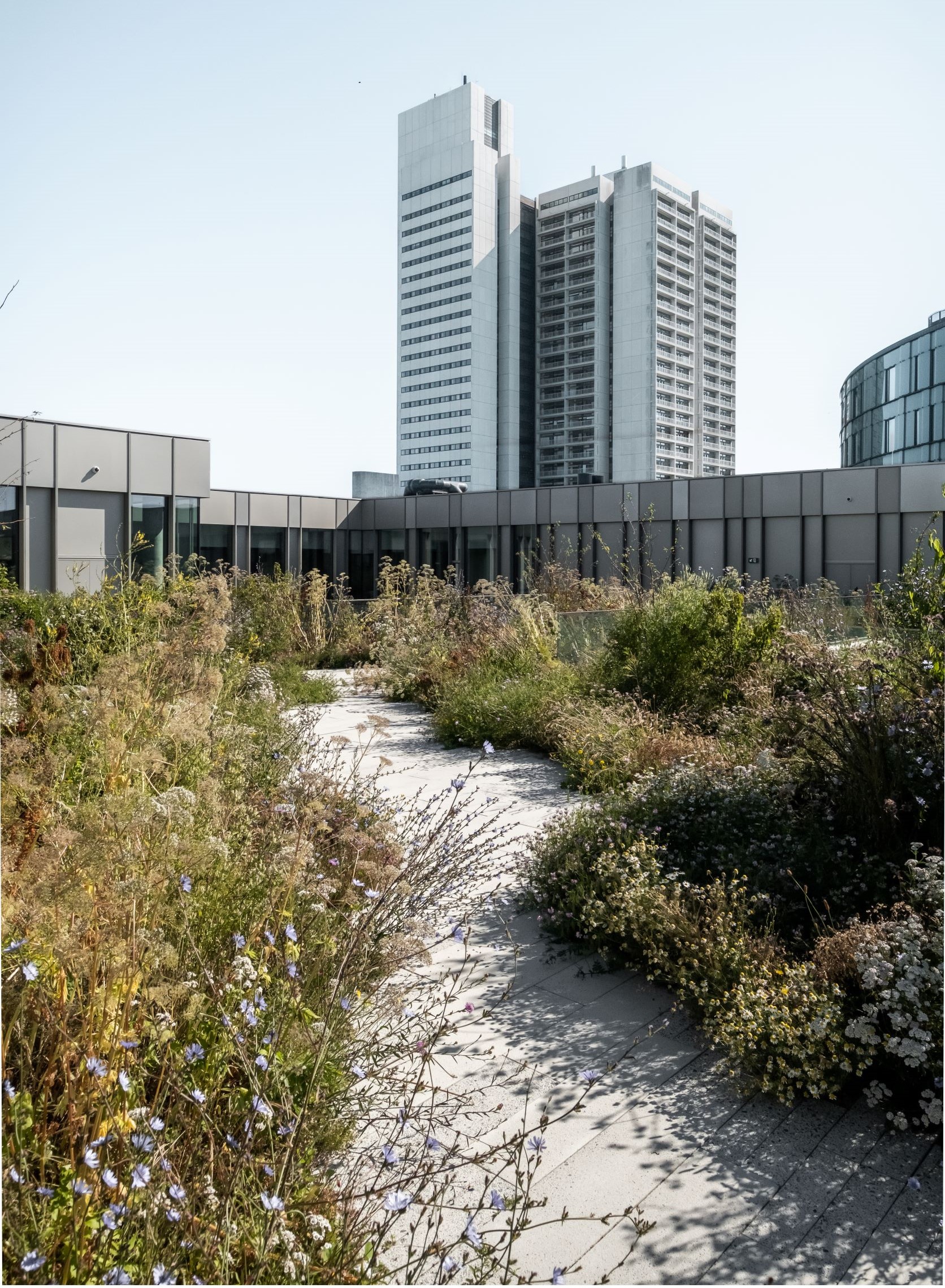 Idea 3528007: Steno Diabetes Center Copenhagen by Vilhelm Lauritzen ...