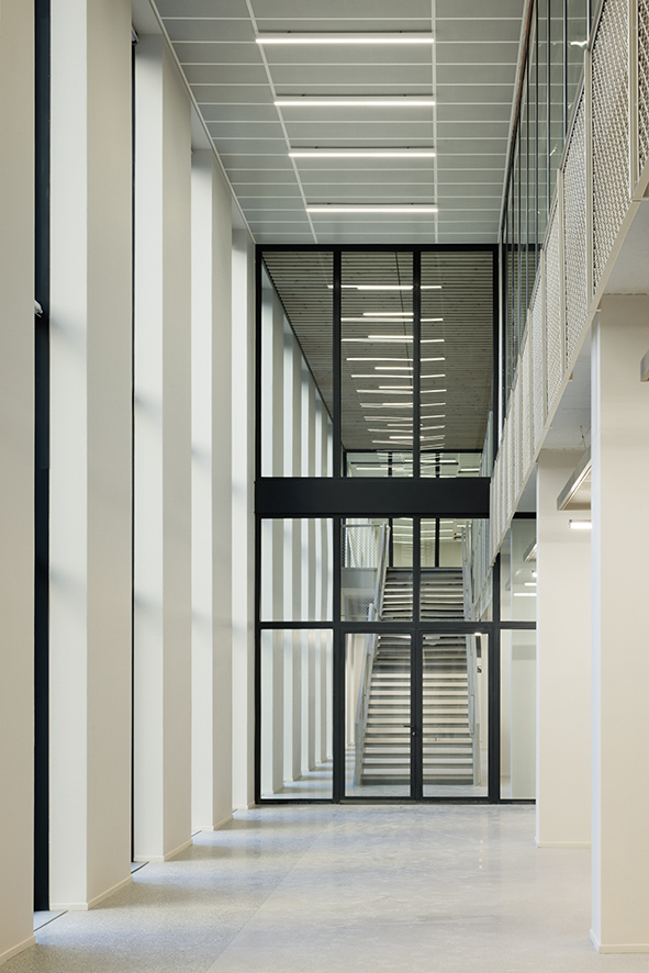 Jeanne at work, office building in Paris by Atelier du Pont - Architizer