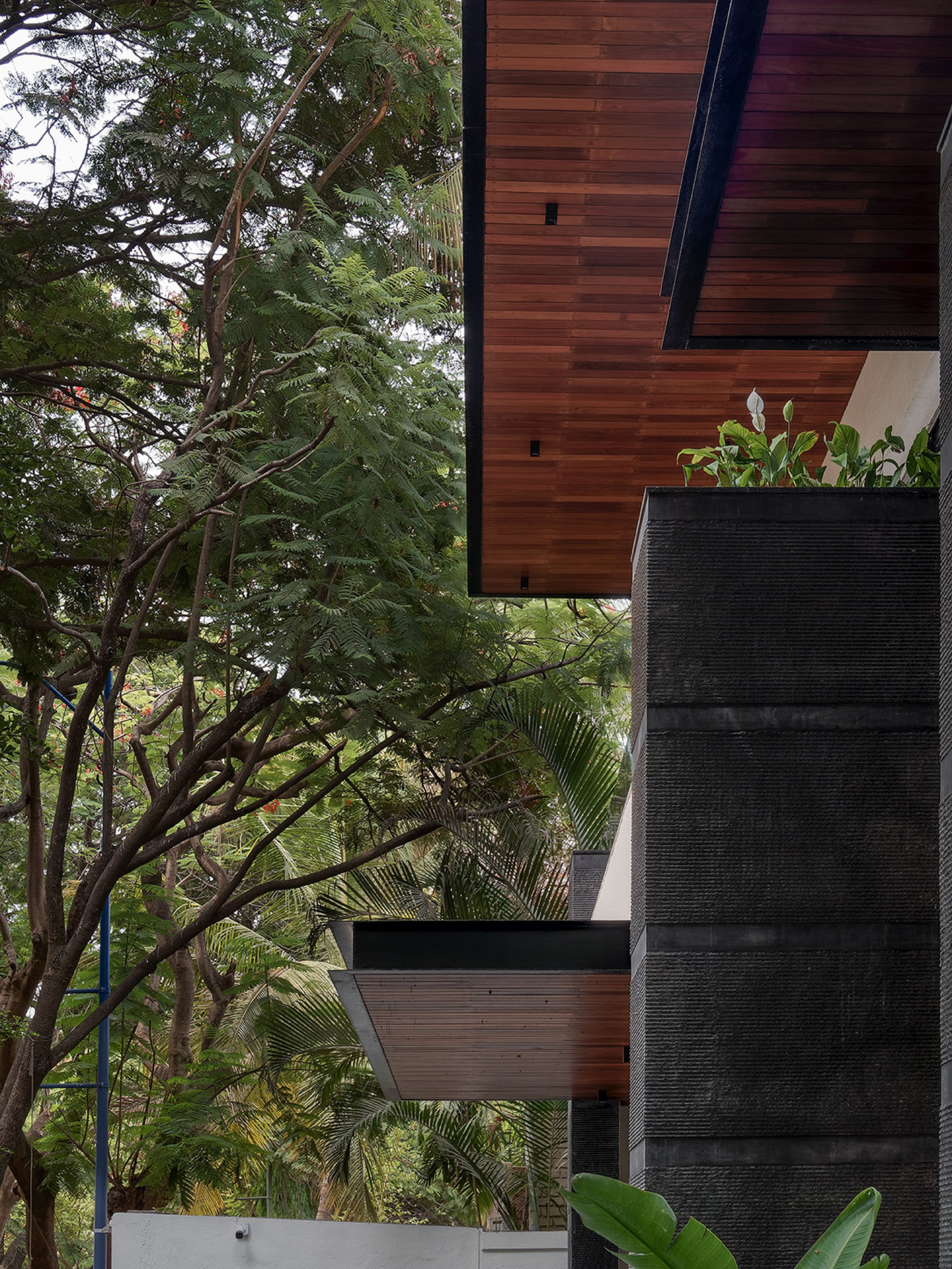 Canopy House by Mind Manifestation - Architizer
