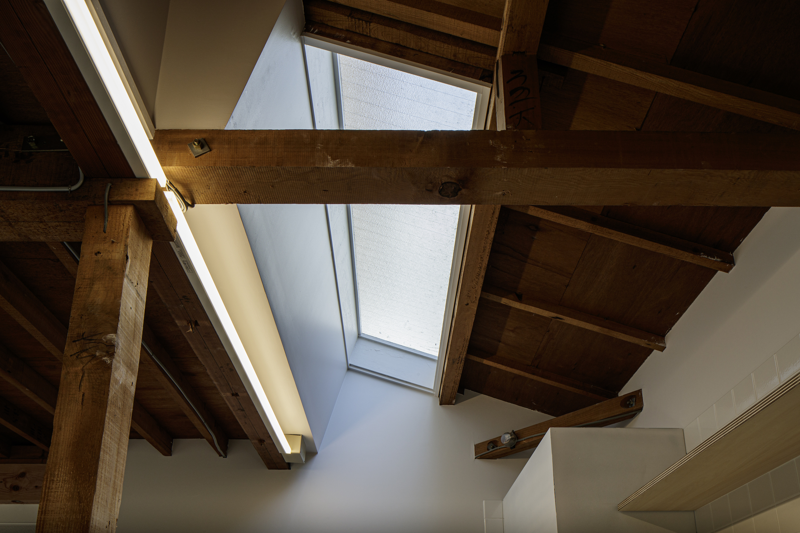 Idea 3544546: Tsunashima House by Roovice in Yokohama, Japan - Architizer