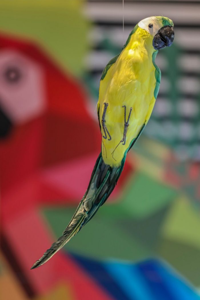 PapaGallos by Golden Ratio Collective Architecture - Architizer