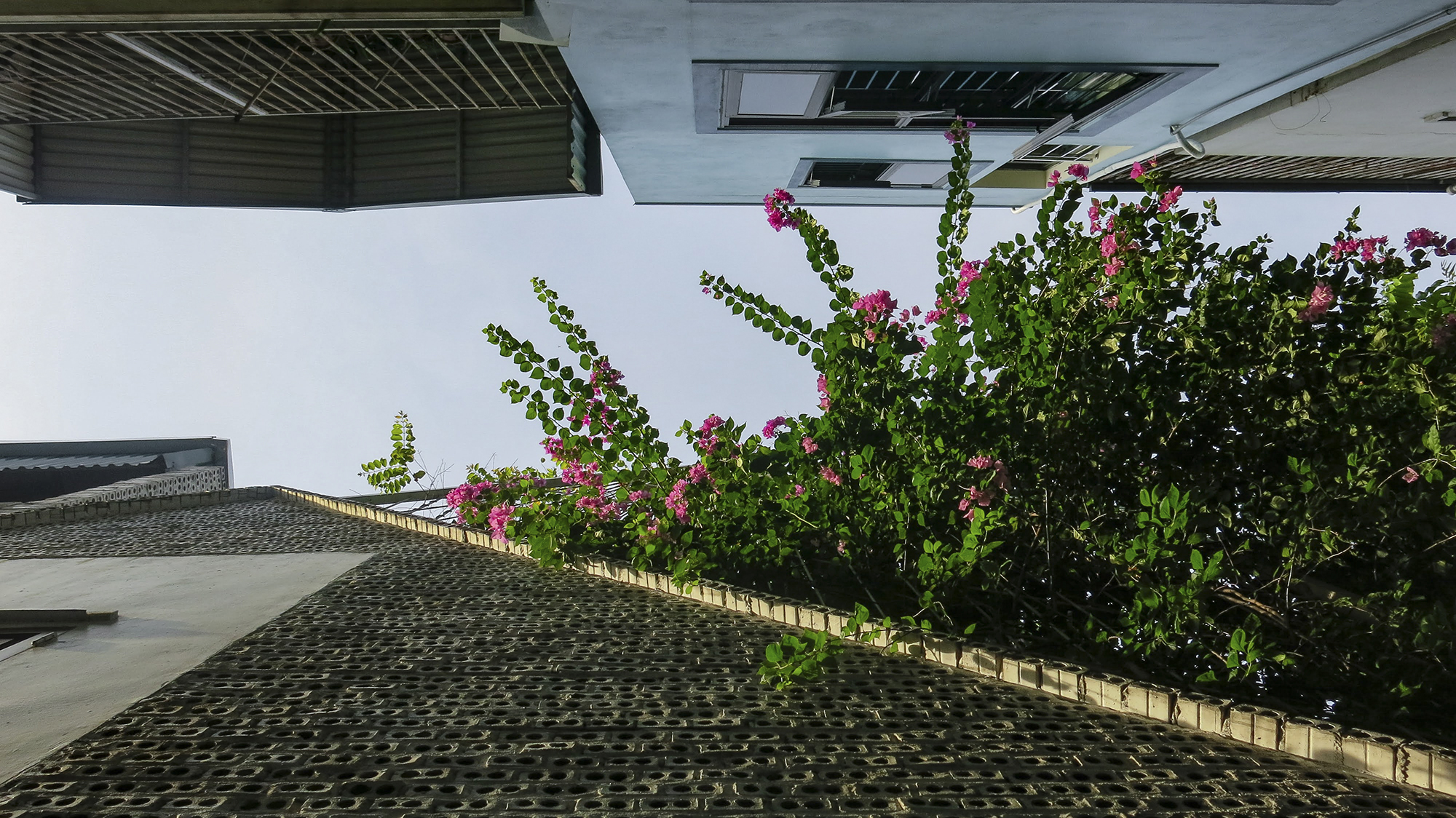 DAD house by NH+A architect - Architizer