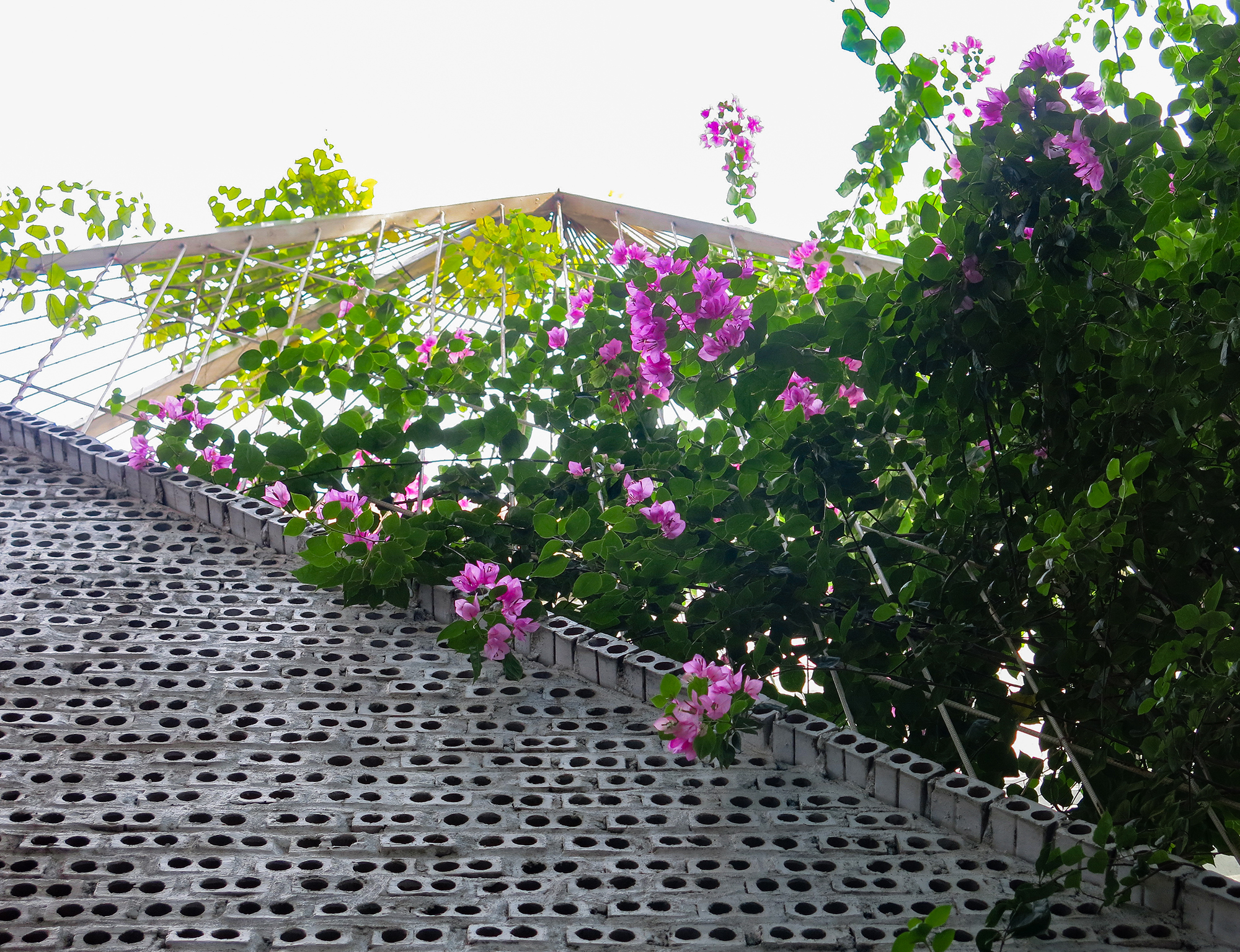 DAD house by NH+A architect - Architizer