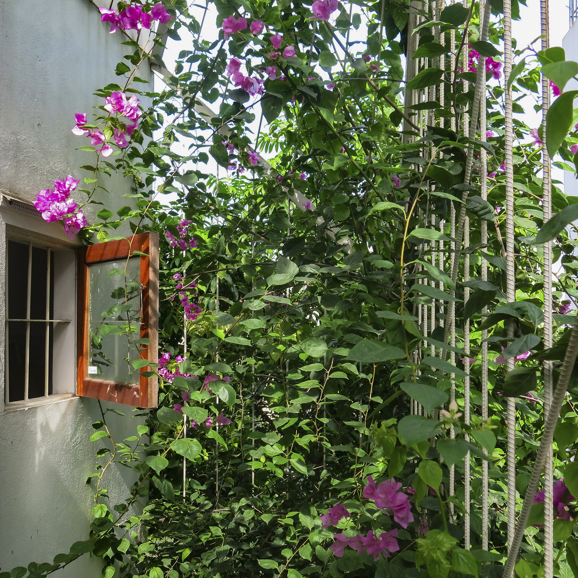 DAD house by NH+A architect - Architizer