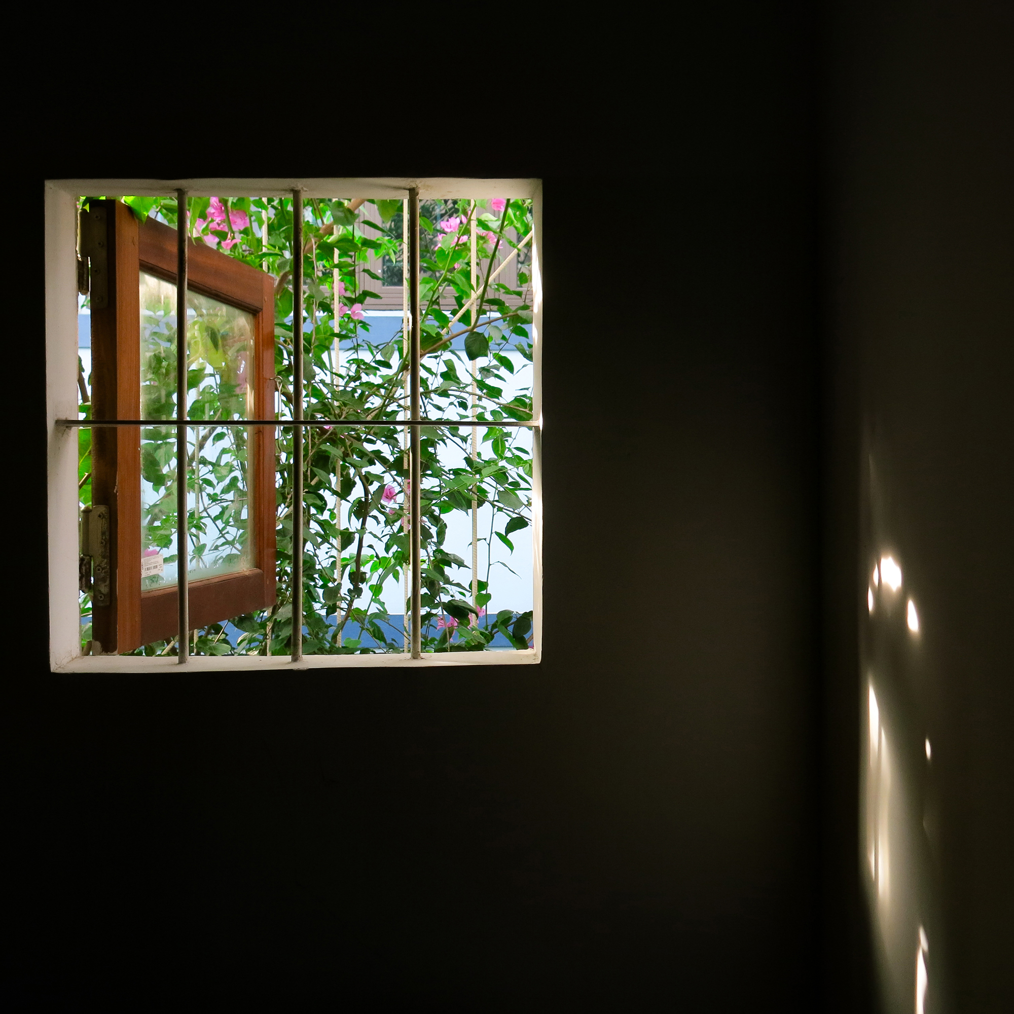 DAD house by NH+A architect - Architizer