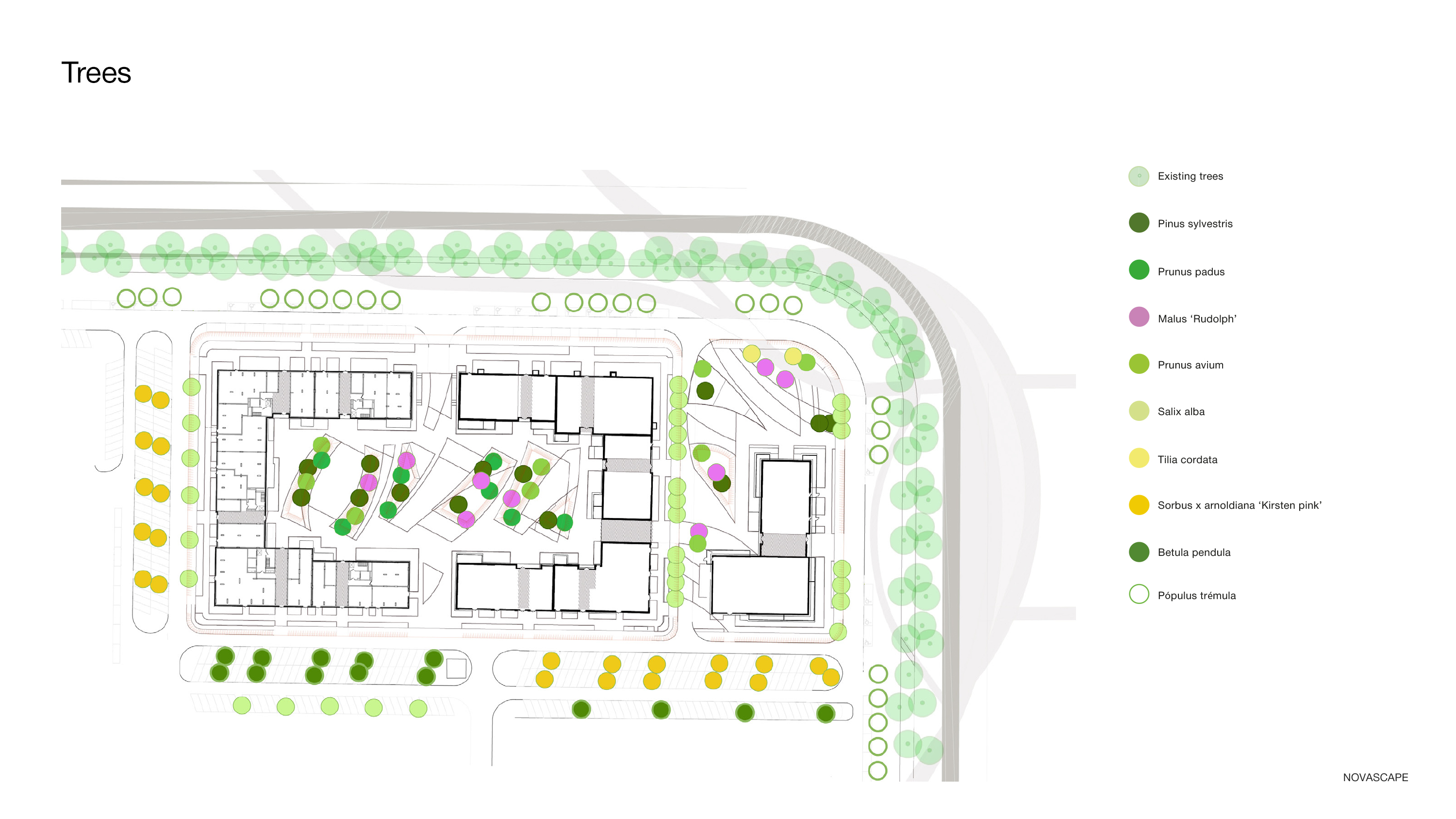 Wadi: water efficient landscape in Tyumen by Brusnika - Architizer