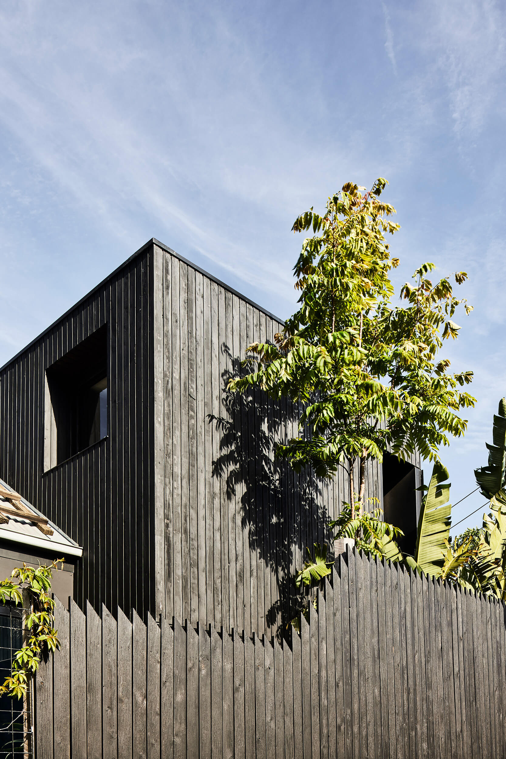 Host House by Splinter Society Architecture - Architizer