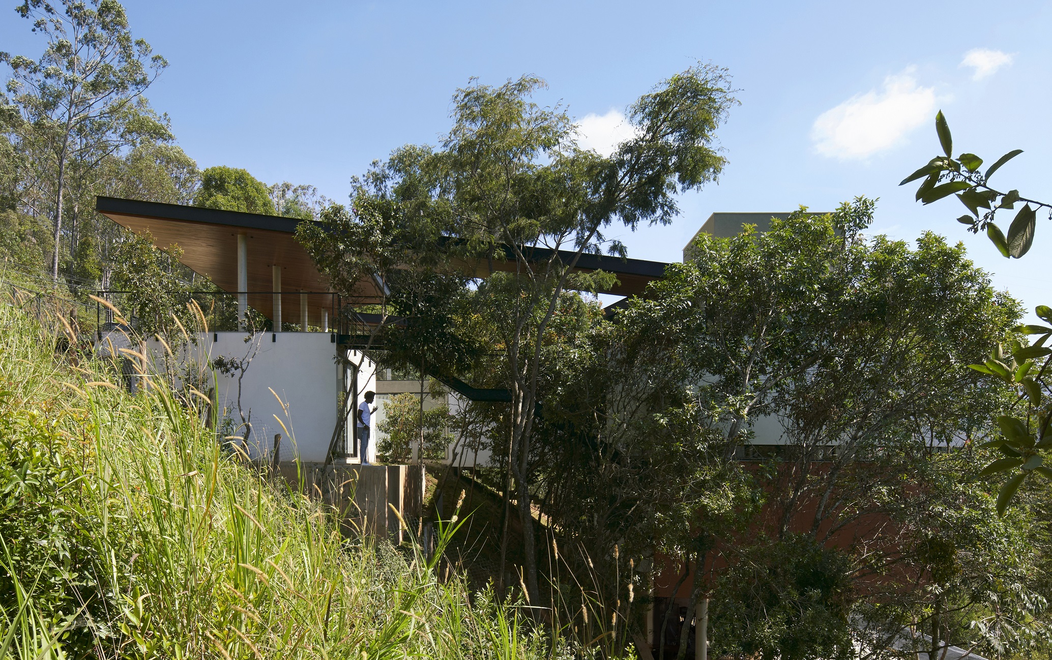 Bosque House by TETRO ARQUITETURA - Architizer