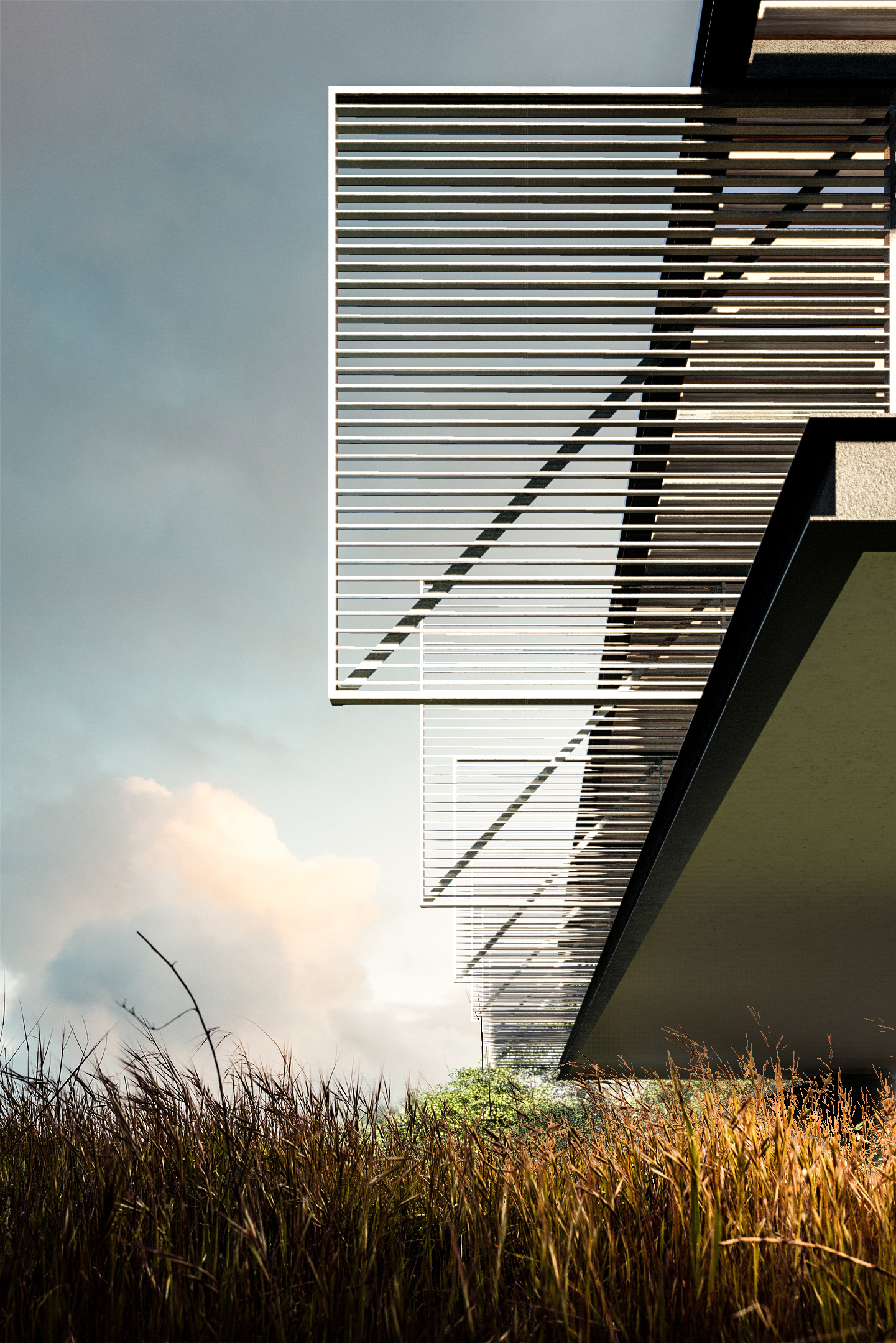 The Rain House by TETRO ARQUITETURA - Architizer