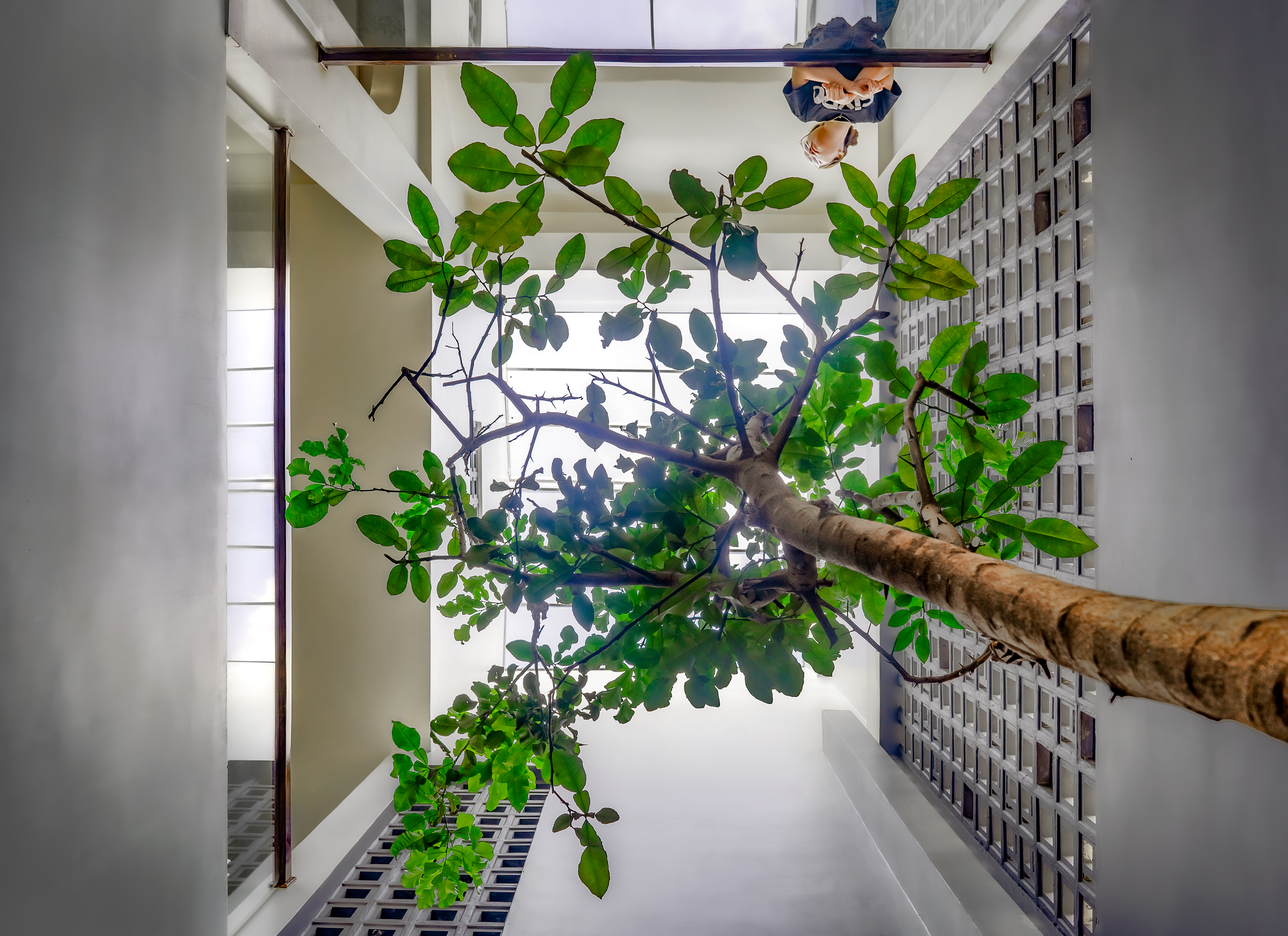 Nunu house | The tropical space inside the townhouse by CEEB Vietnam ...