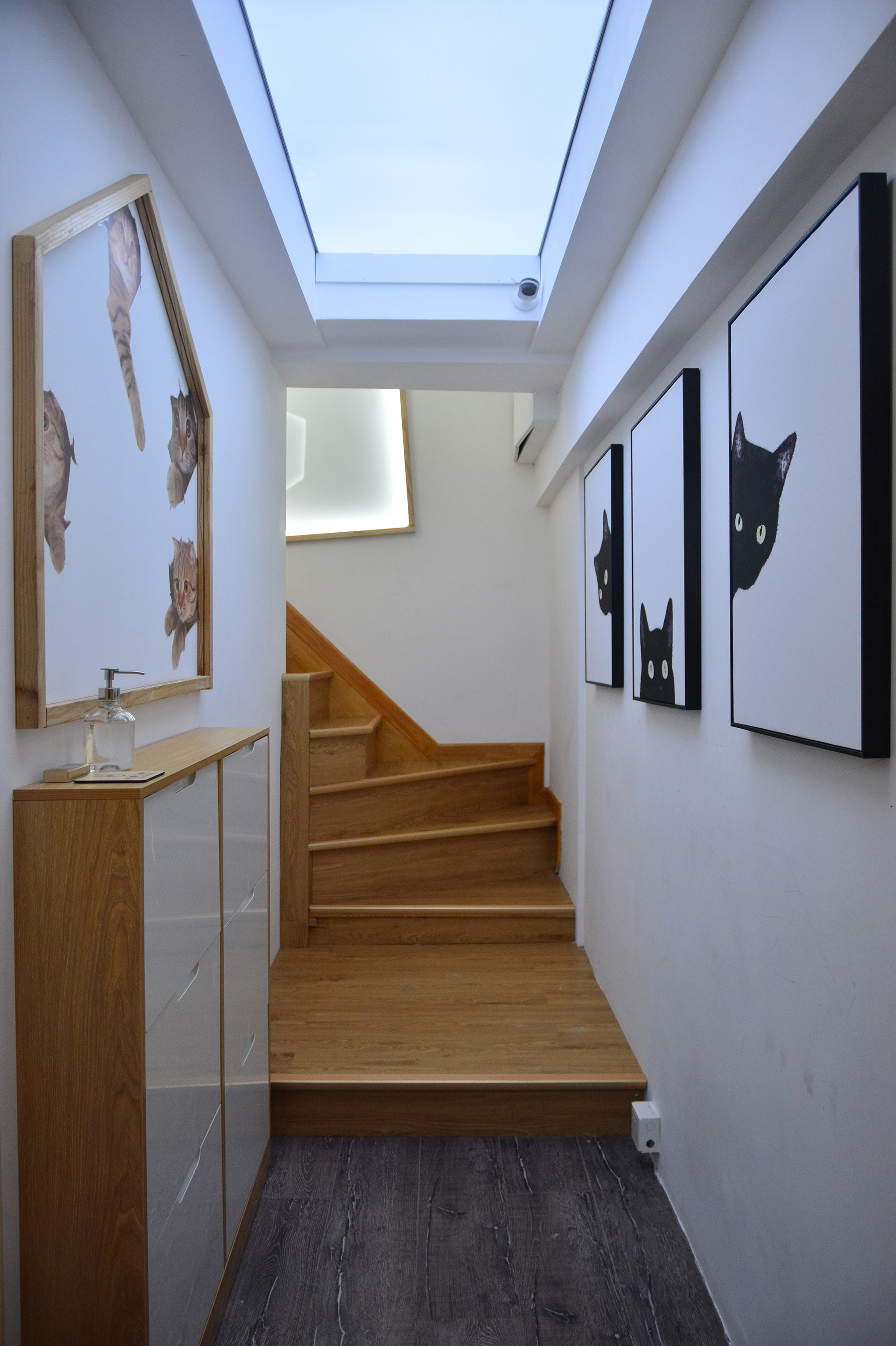 Cat Café in Tianzifang: Tristy of the CATS by Parallect Design - Architizer