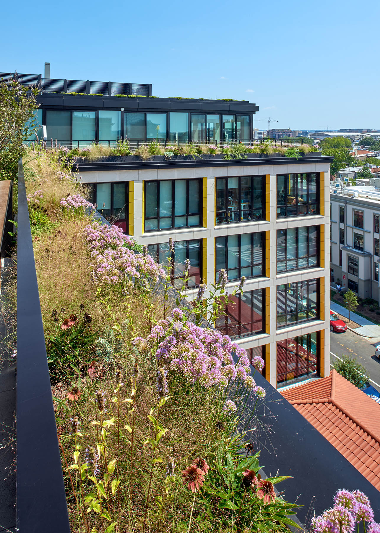 Liz by CORE architecture + design - Architizer