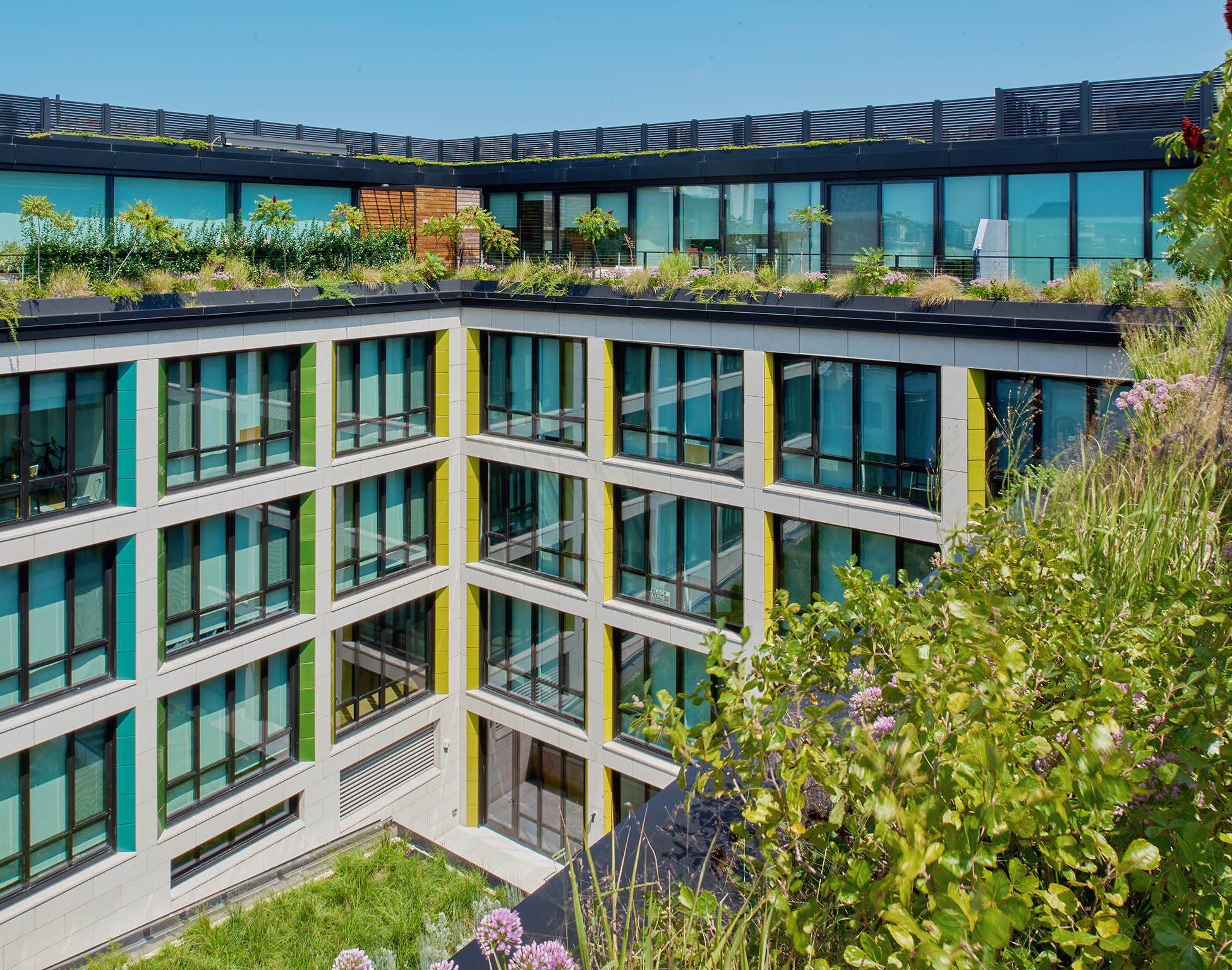 Liz by CORE architecture + design - Architizer