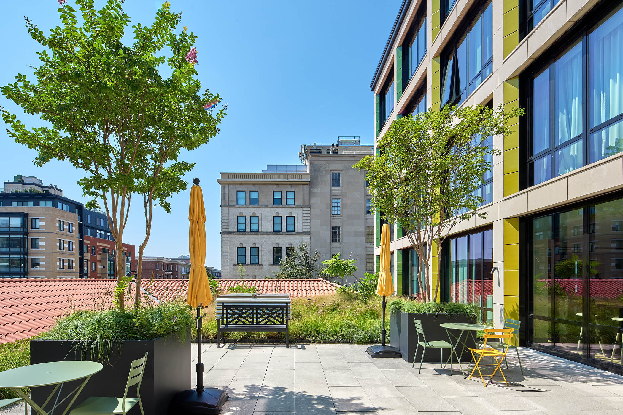 Liz by CORE architecture + design - Architizer