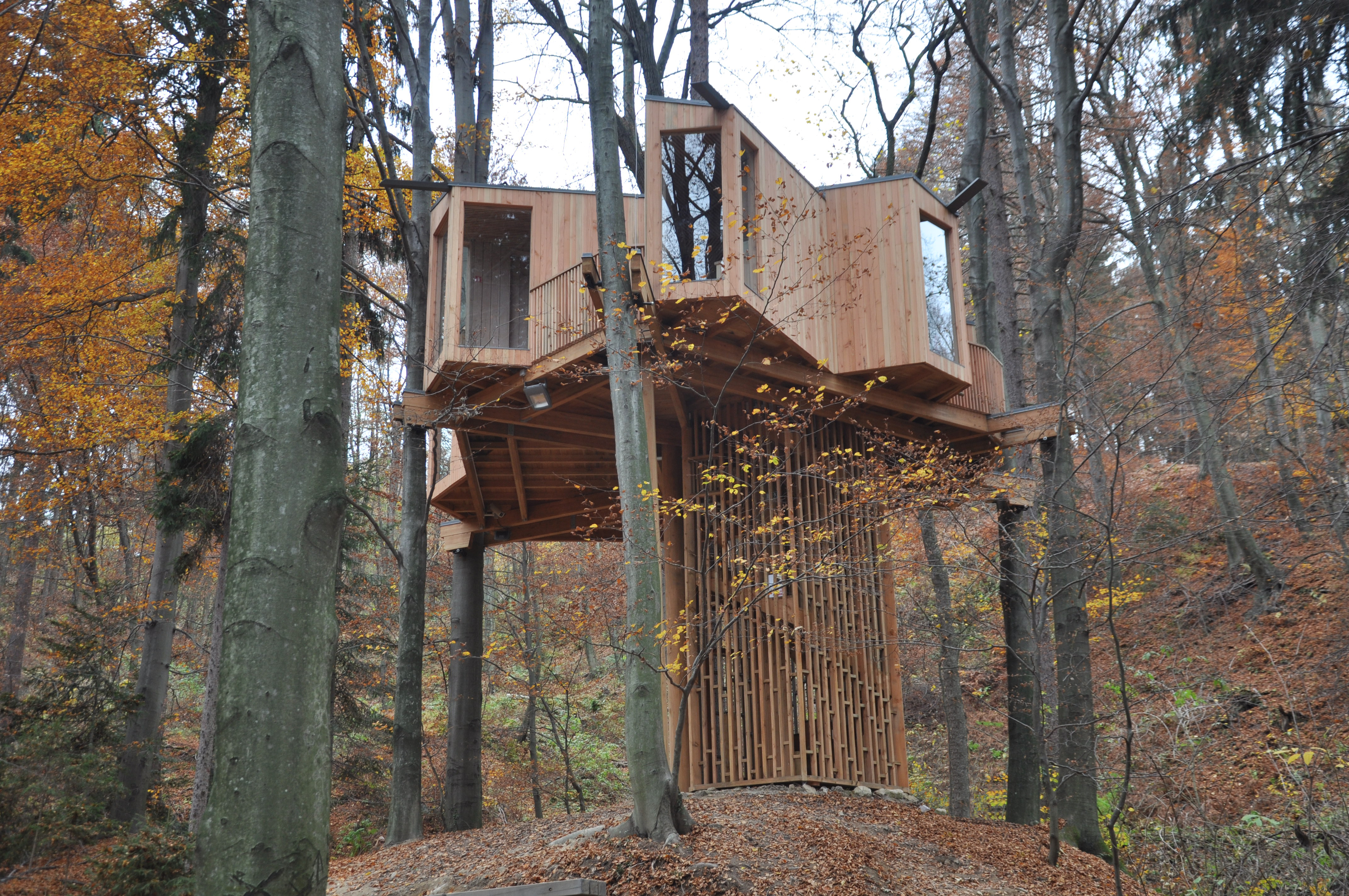 Tree House in Celje Urban Forest by Atelje Ostan Pavlin - Architizer
