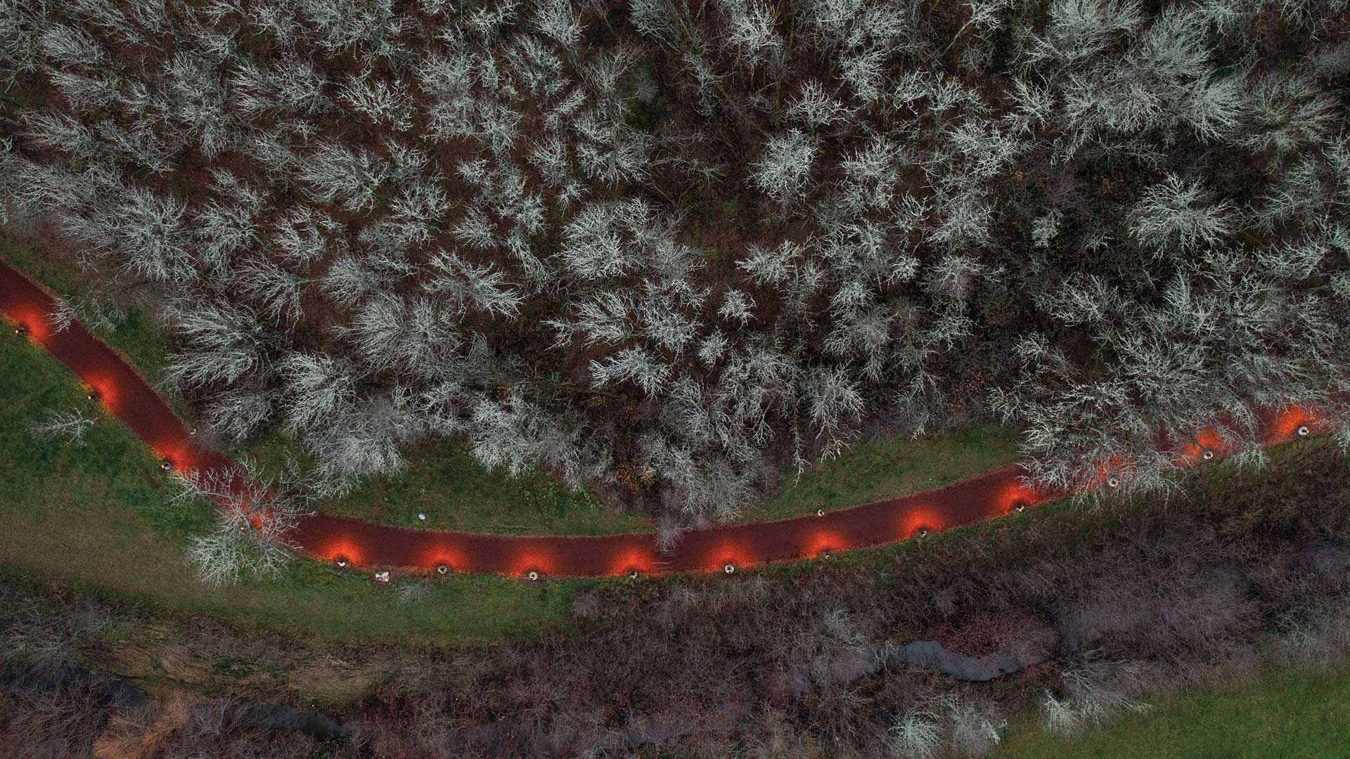 Amazon Park Running Trail by Acuity - Architizer