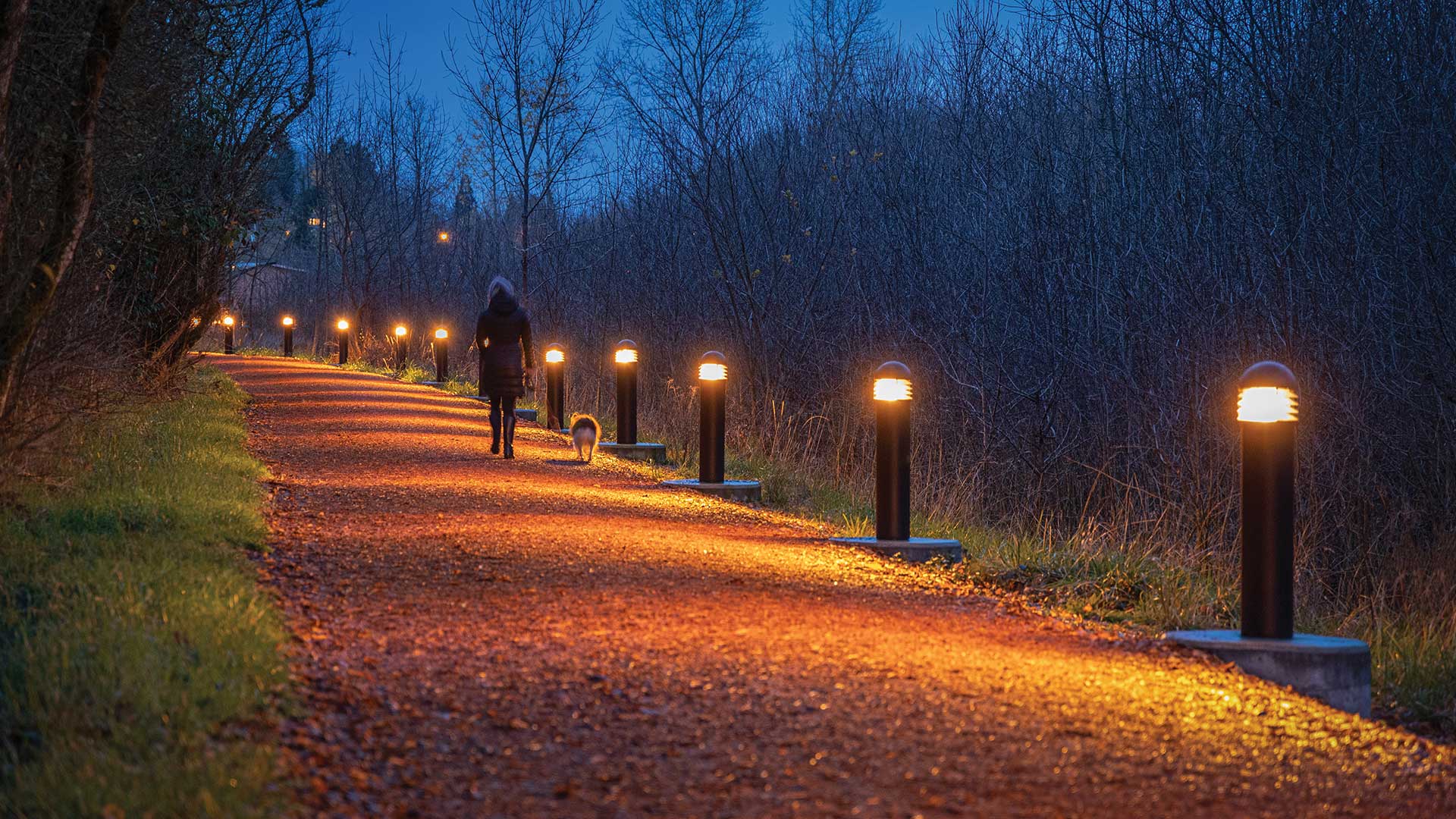 Amazon Park Running Trail by Acuity - Architizer