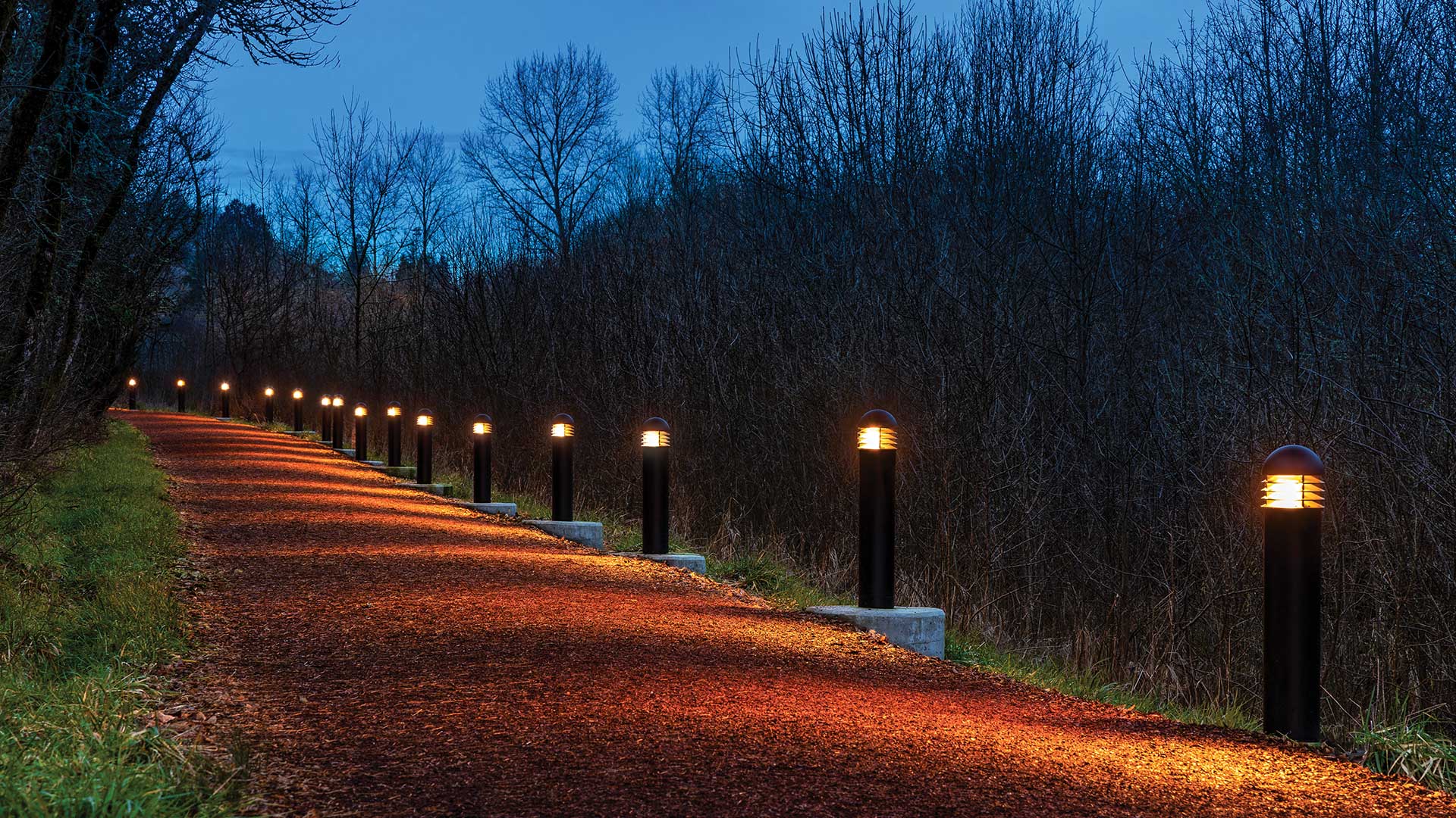 Amazon Park Running Trail by Acuity - Architizer