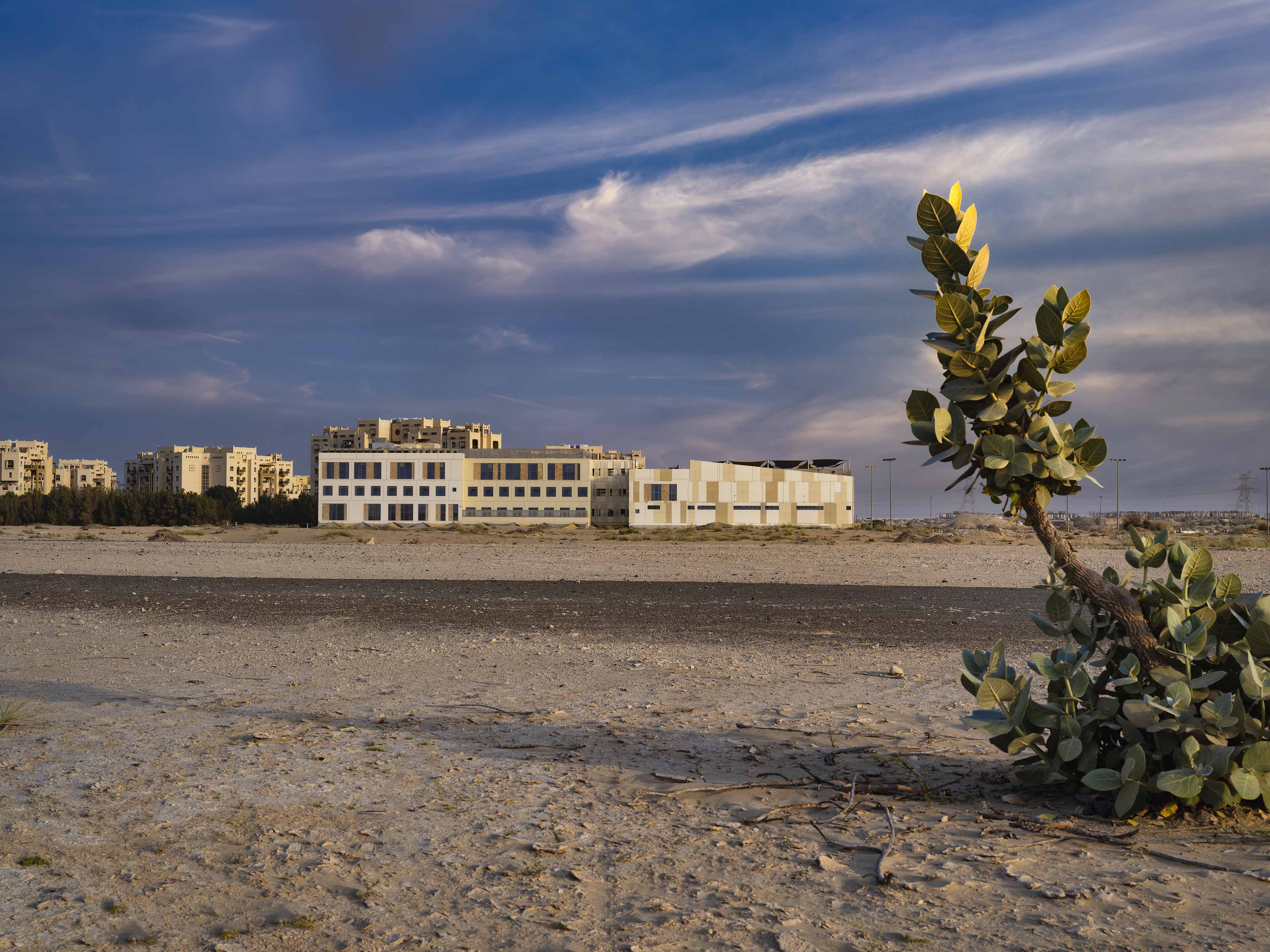 South View School by R+D Studio - Architizer