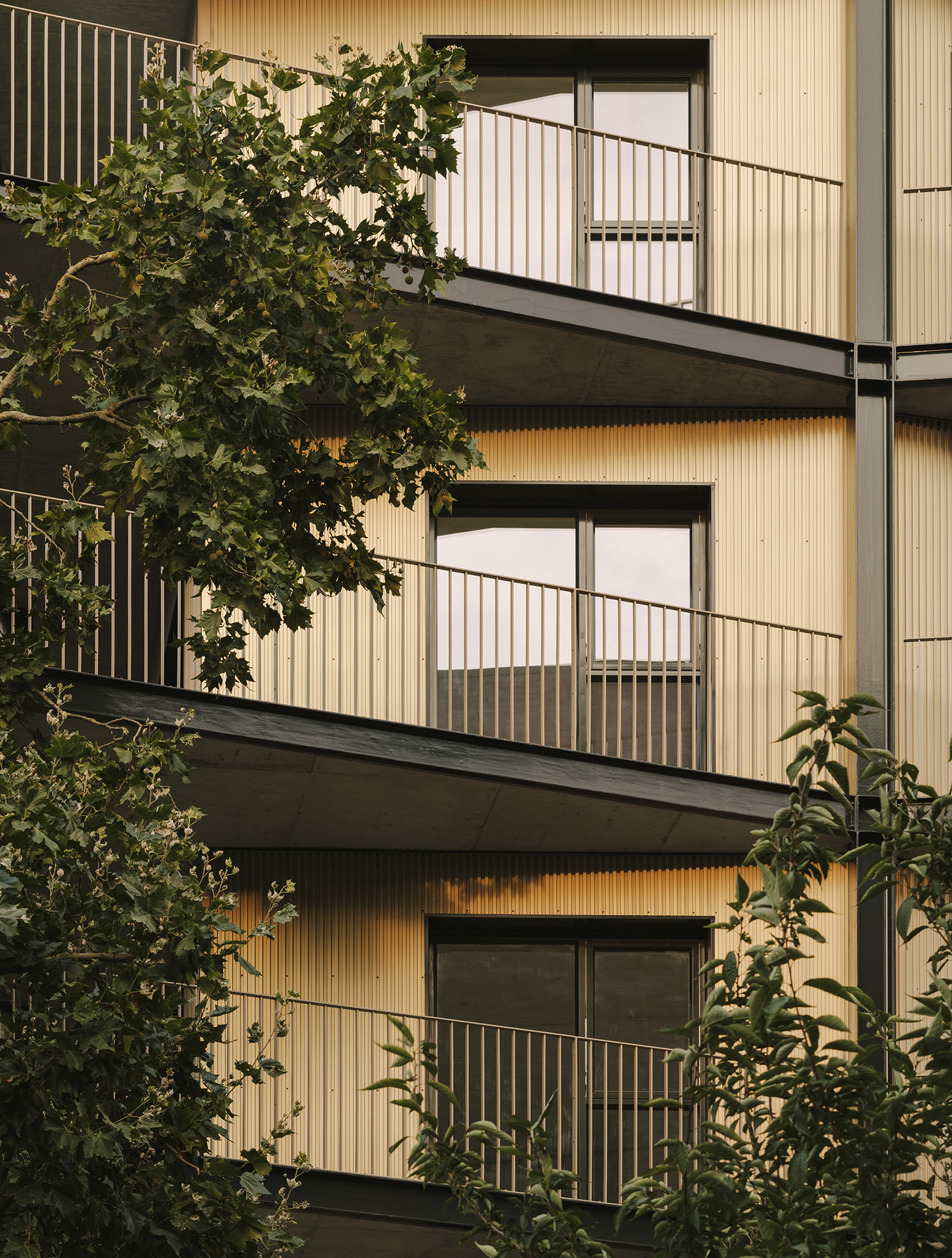 Dockley Apartments by Studio Woodroffe Papa - Architizer