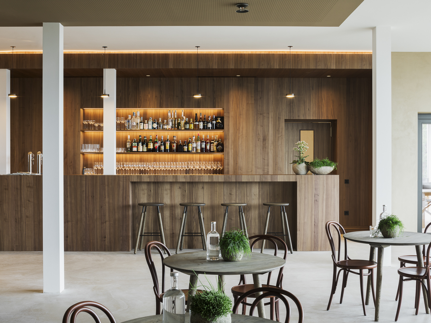 Hotel Saltus by tara - Architizer