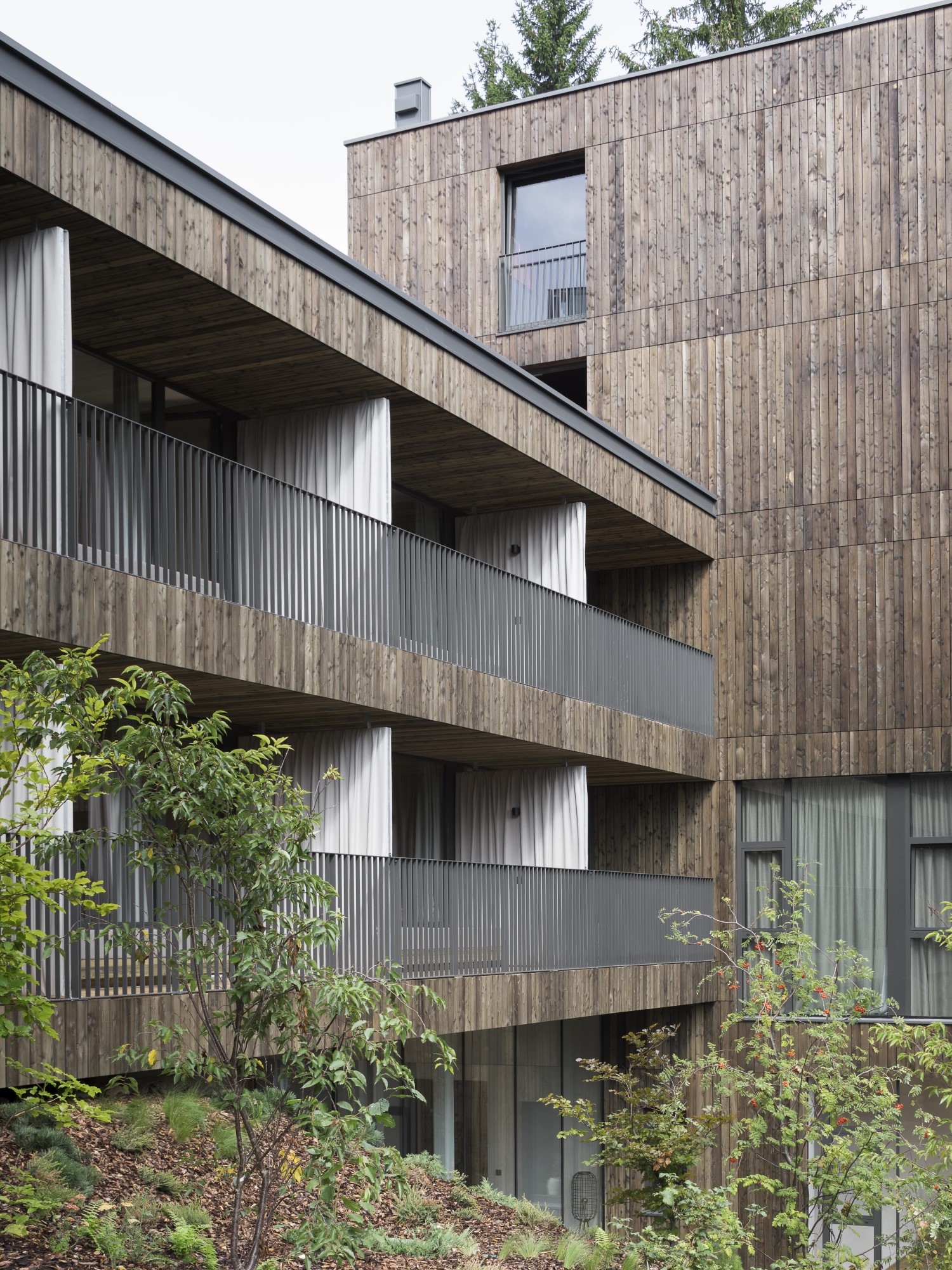 Hotel Saltus by tara - Architizer