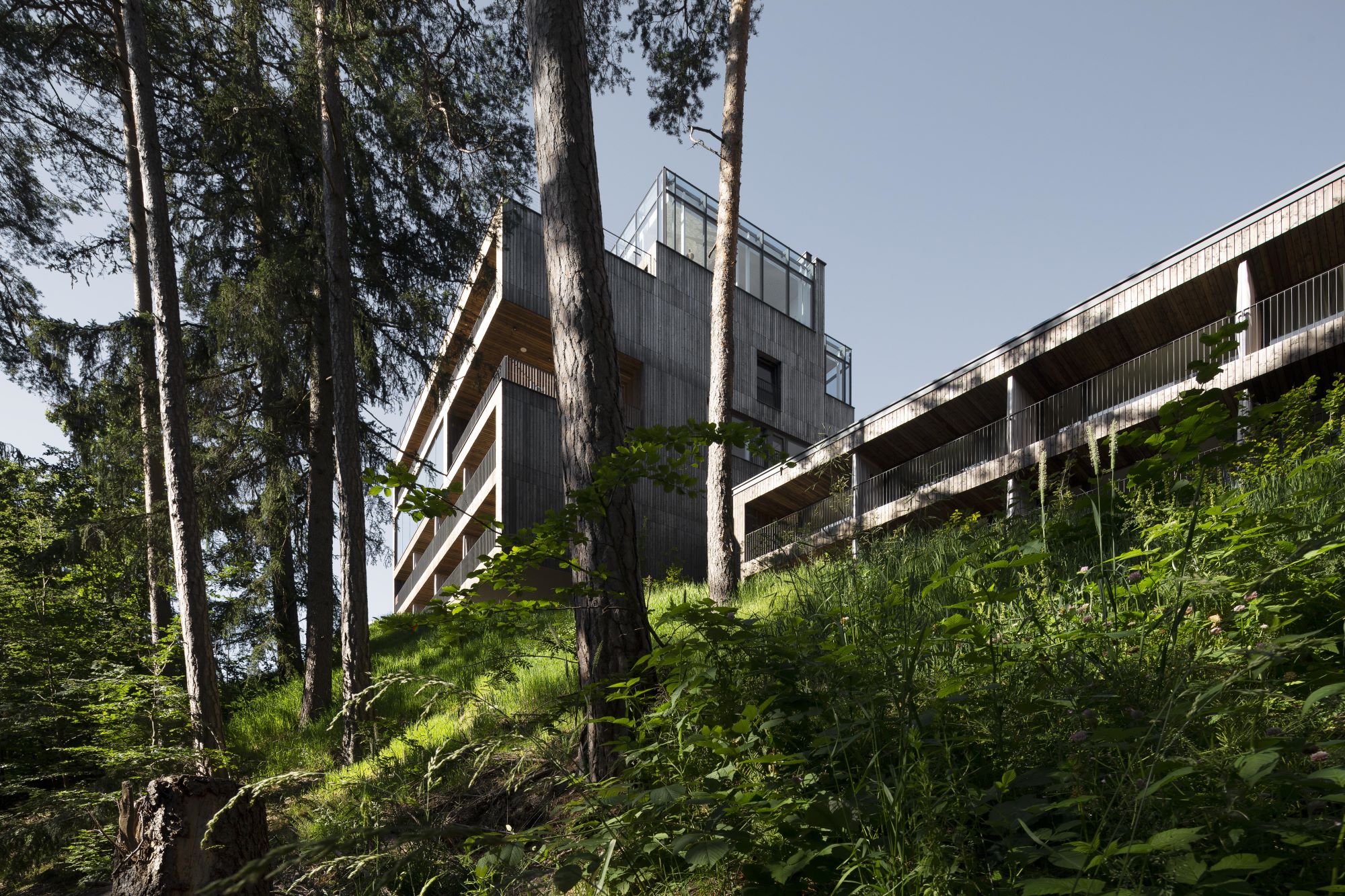 Hotel Saltus by tara - Architizer