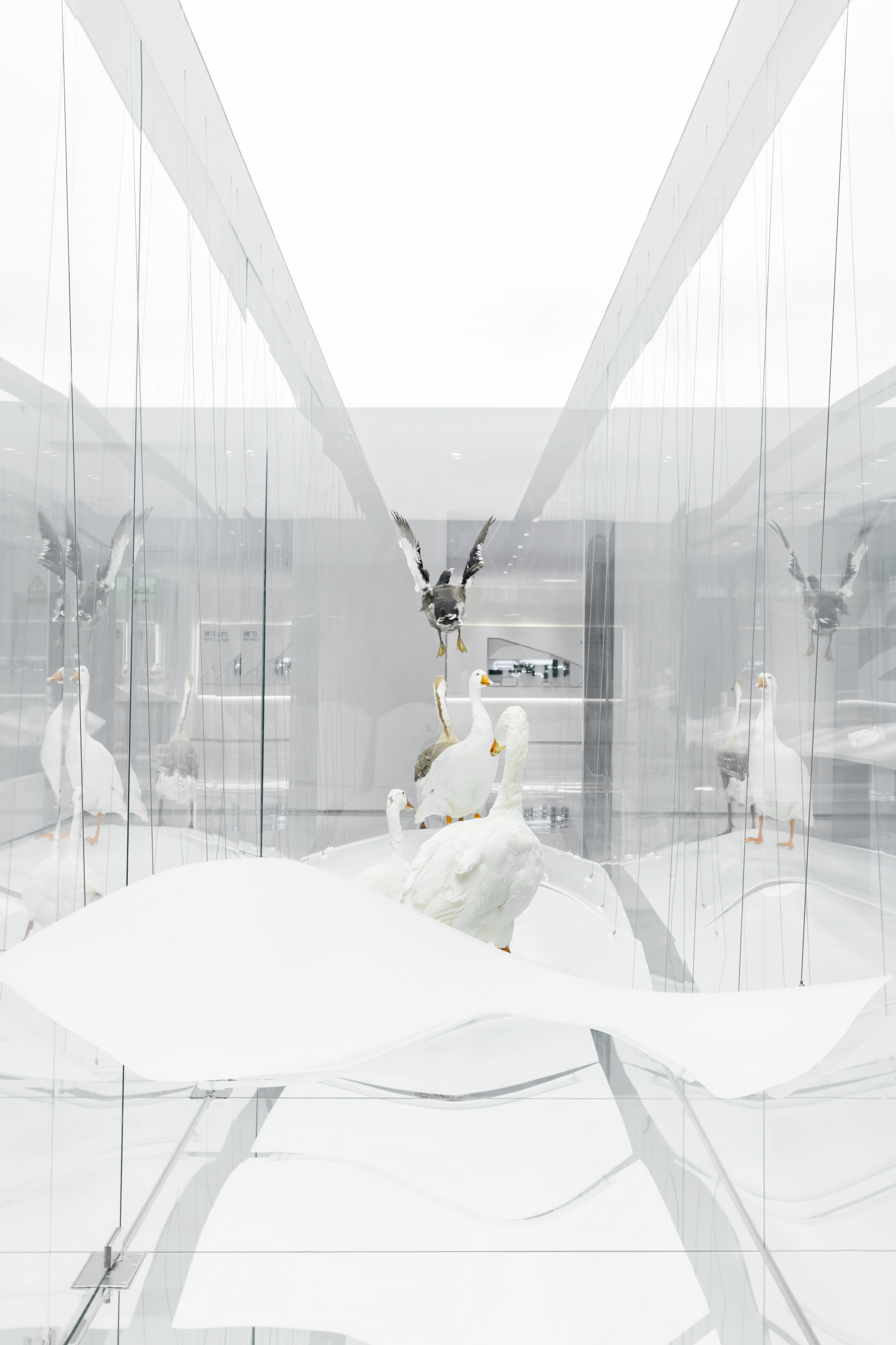 INSIDE OF é é é - Symbiosis of flagship factory and retail by Greater ...