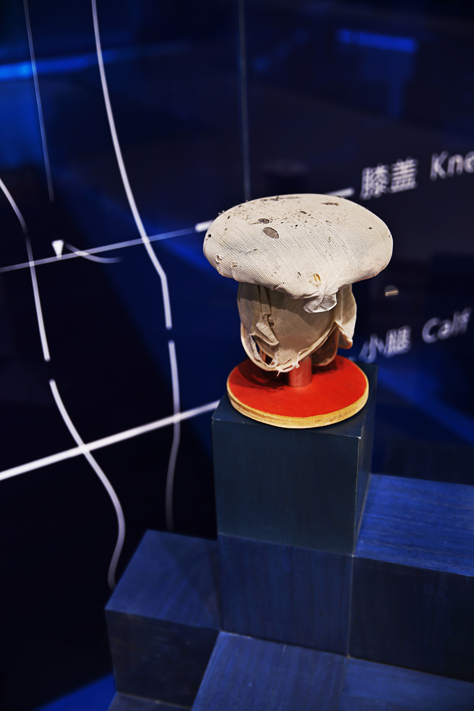 LEDING Bespoke by Greater Dog Architects - Architizer