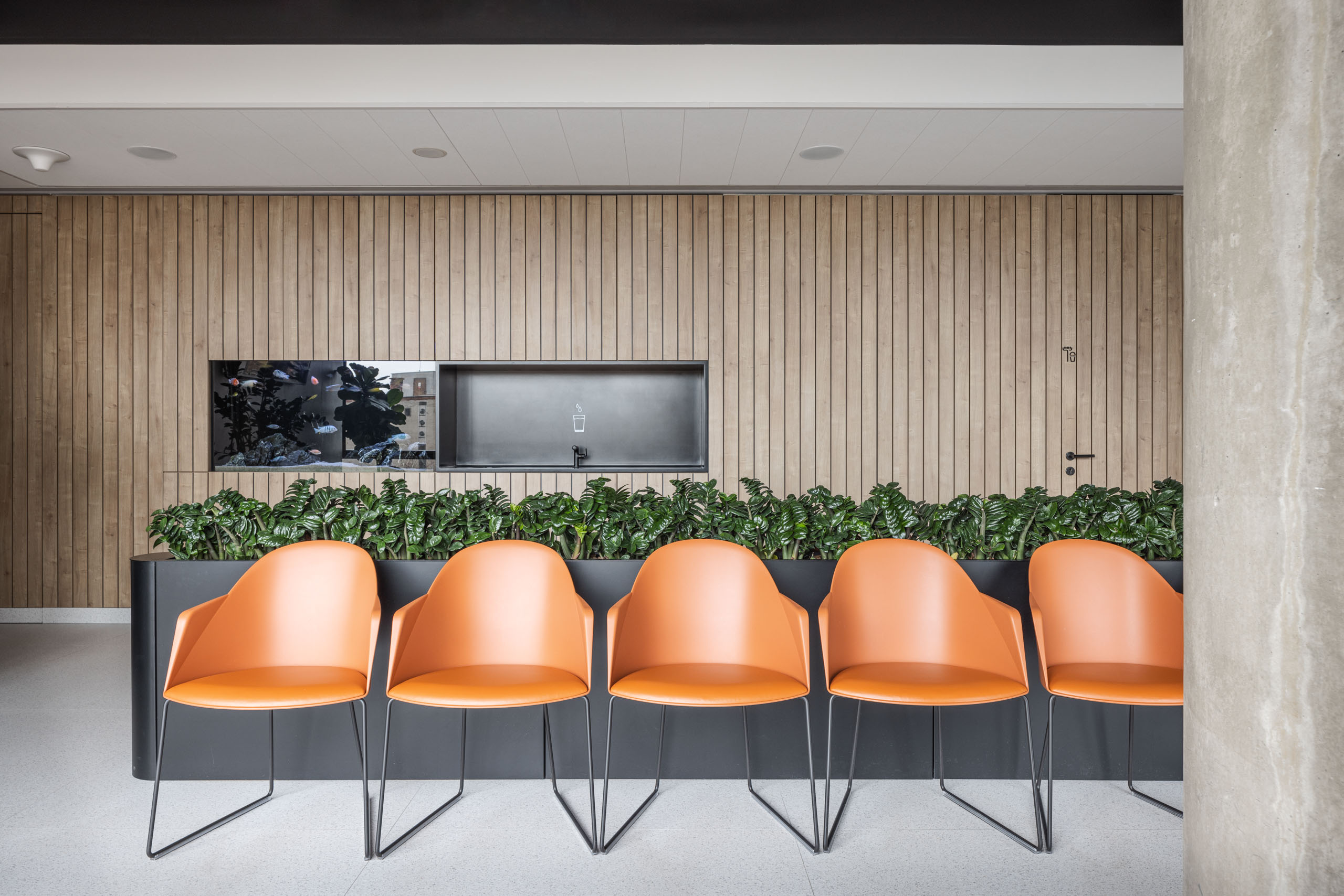 DENTLY by AT26 architects - Architizer