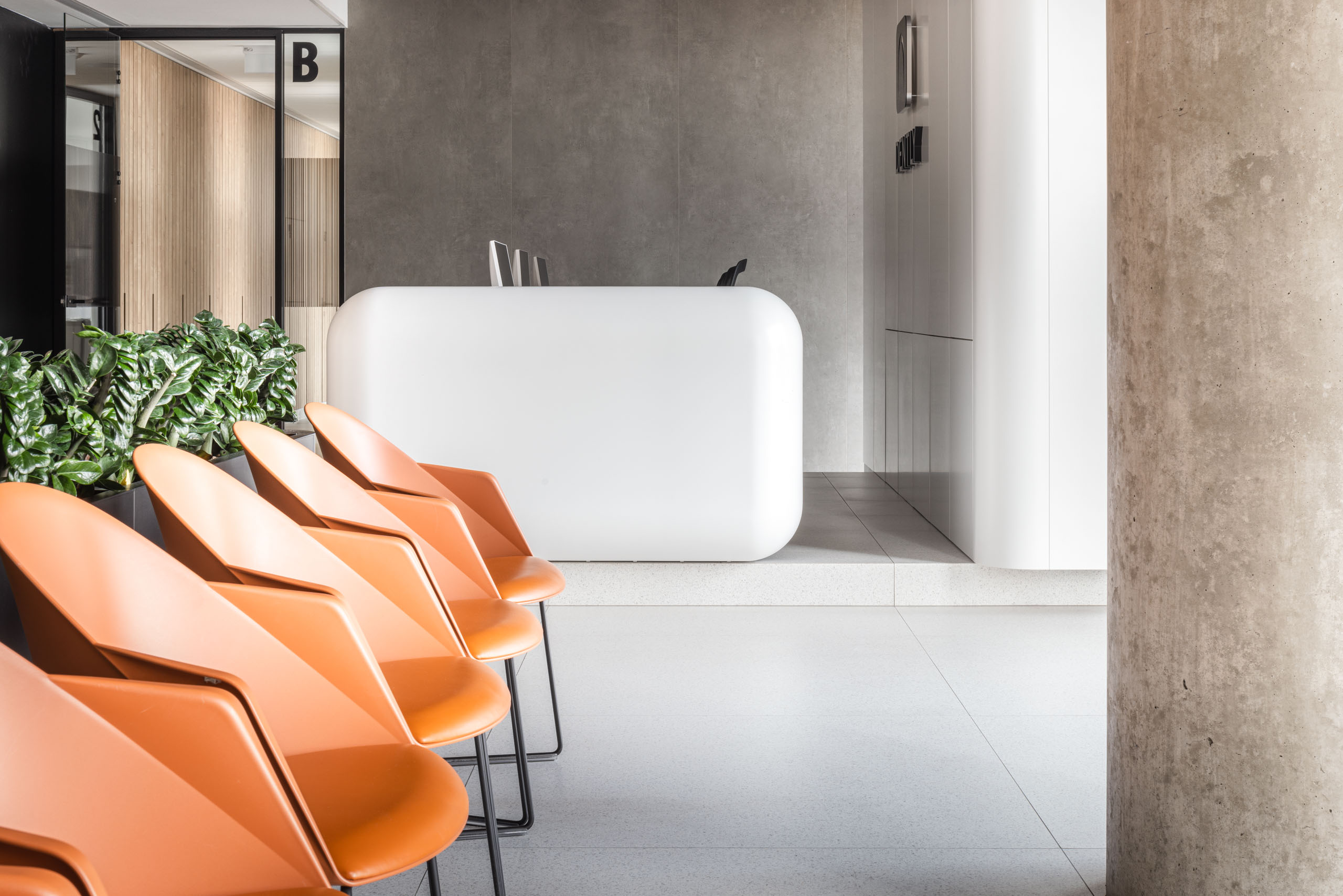 DENTLY by AT26 architects - Architizer