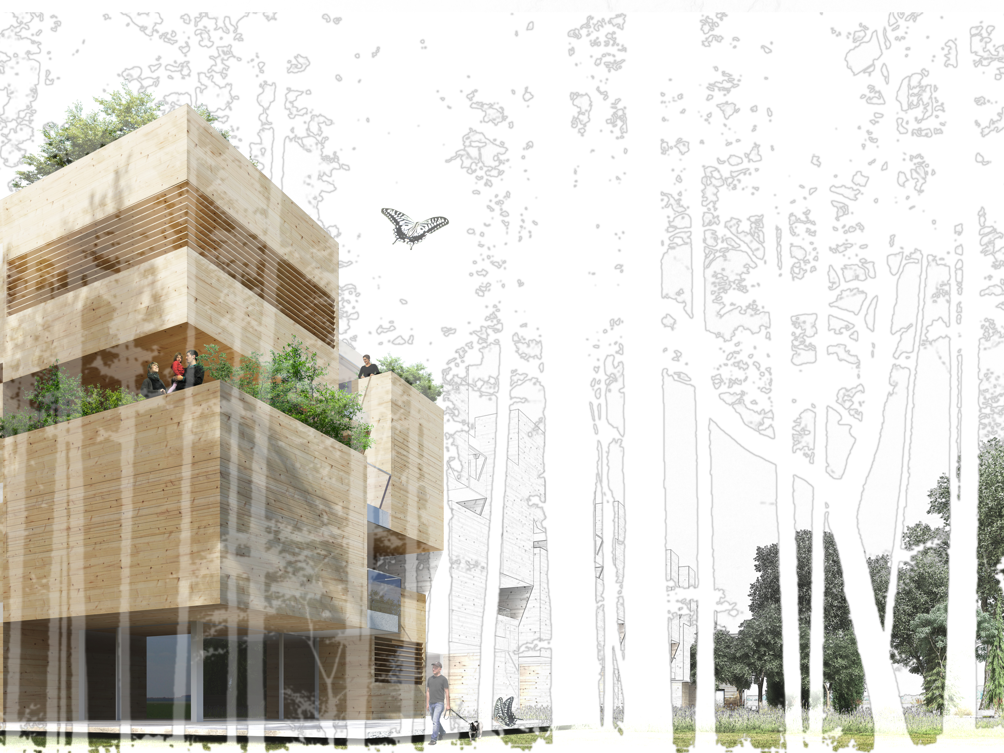 NEXT GENERATION WOODEN HOUSING COMPLEX by NIKKEN HOUSING SYSTEM ...