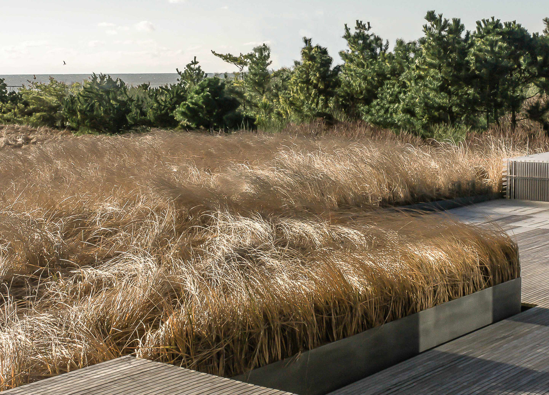 Oceanfront by LaGuardia Design Group Landscape Architects - Architizer