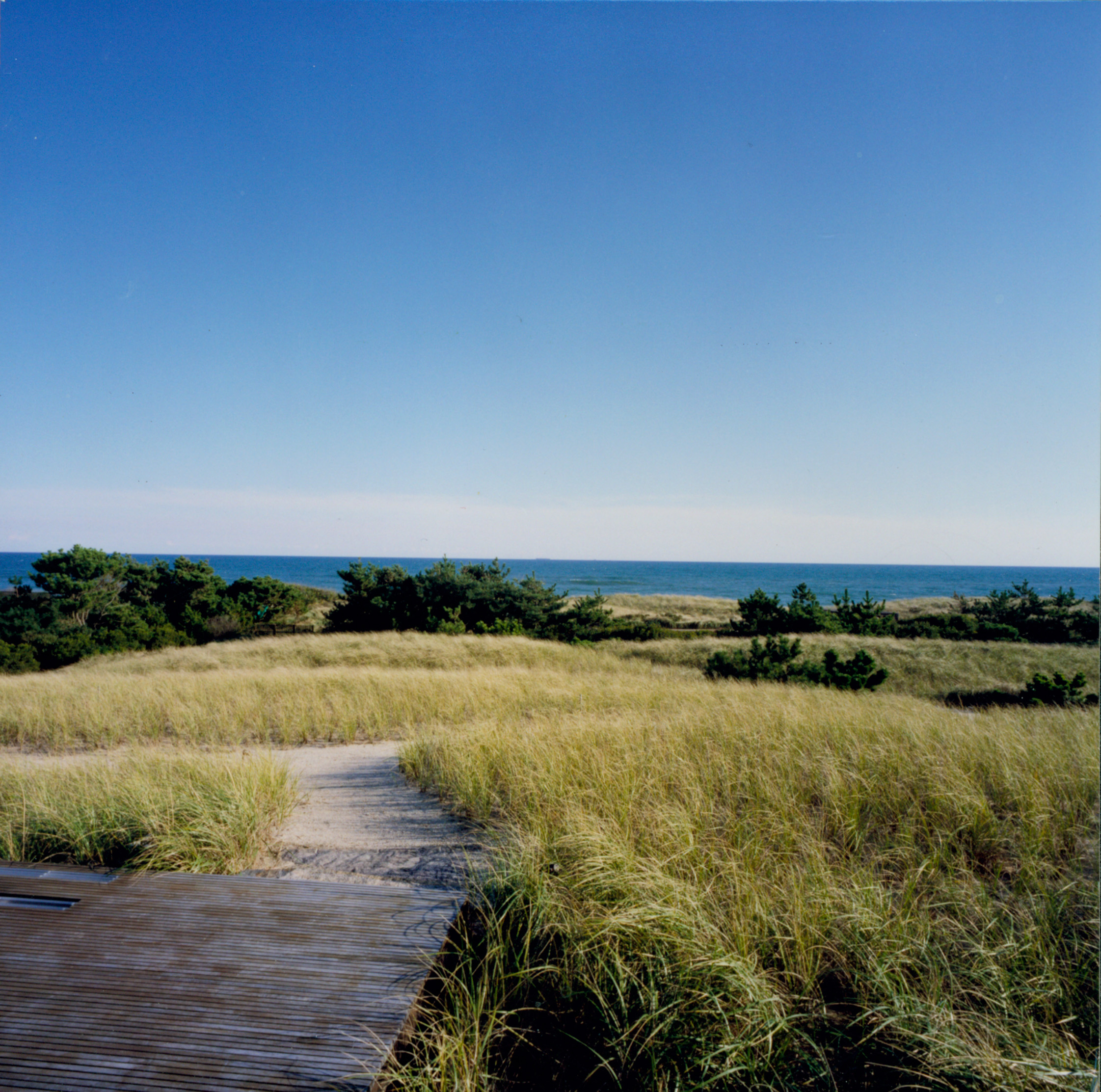 Oceanfront by LaGuardia Design Group Landscape Architects - Architizer