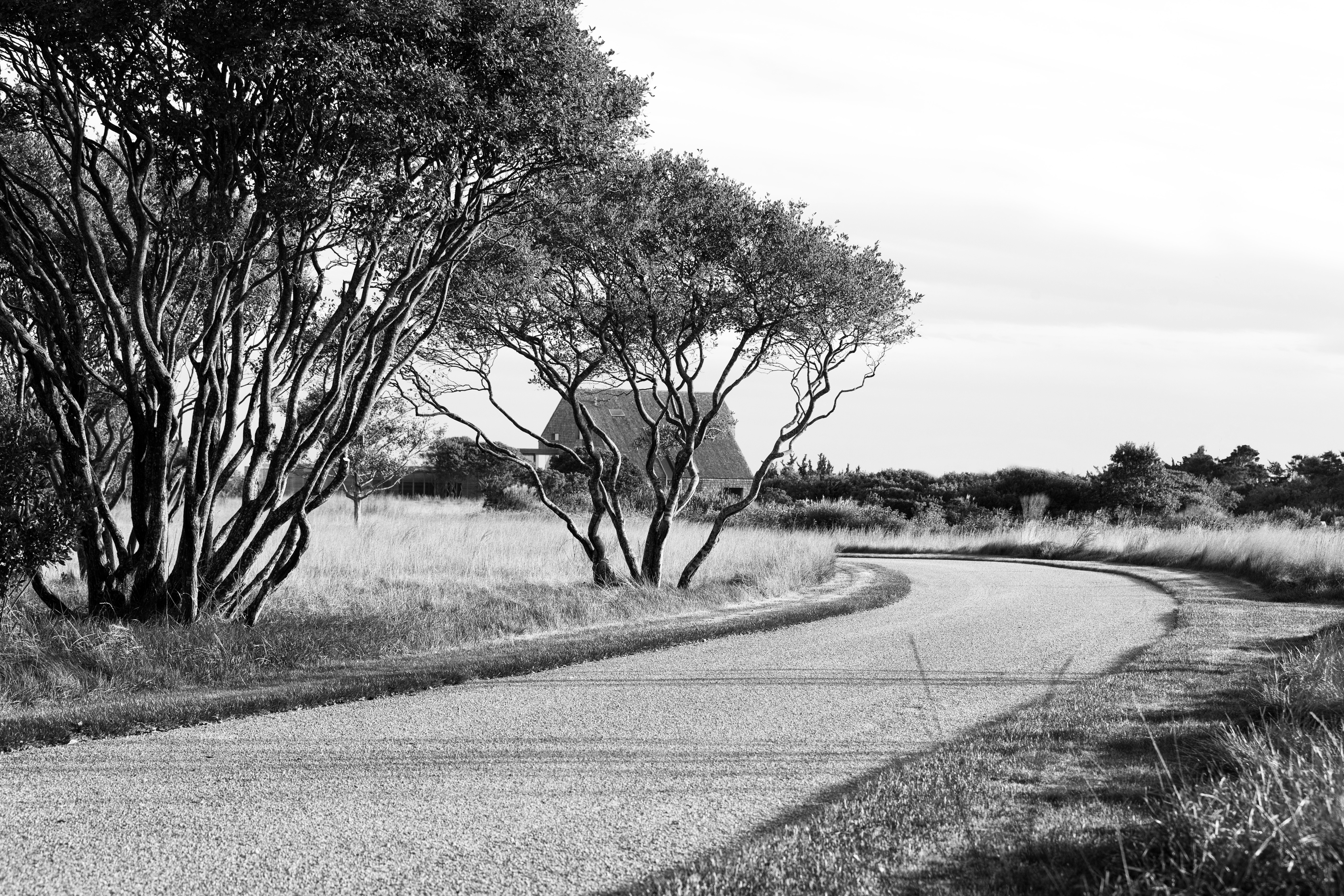 Oceanfront by LaGuardia Design Group Landscape Architects - Architizer