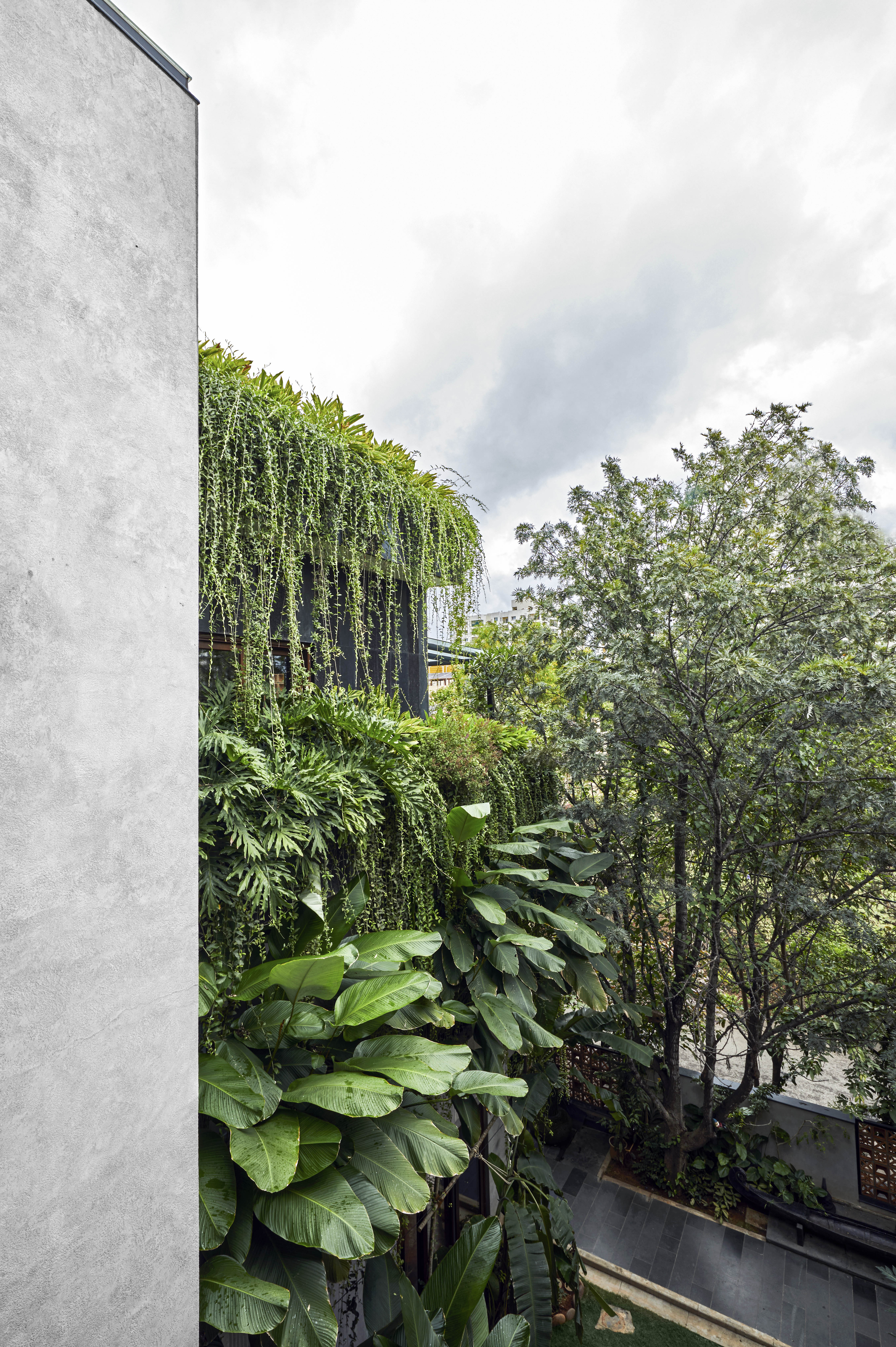 PROJECT 58 by The Purple Ink Studio - Architizer