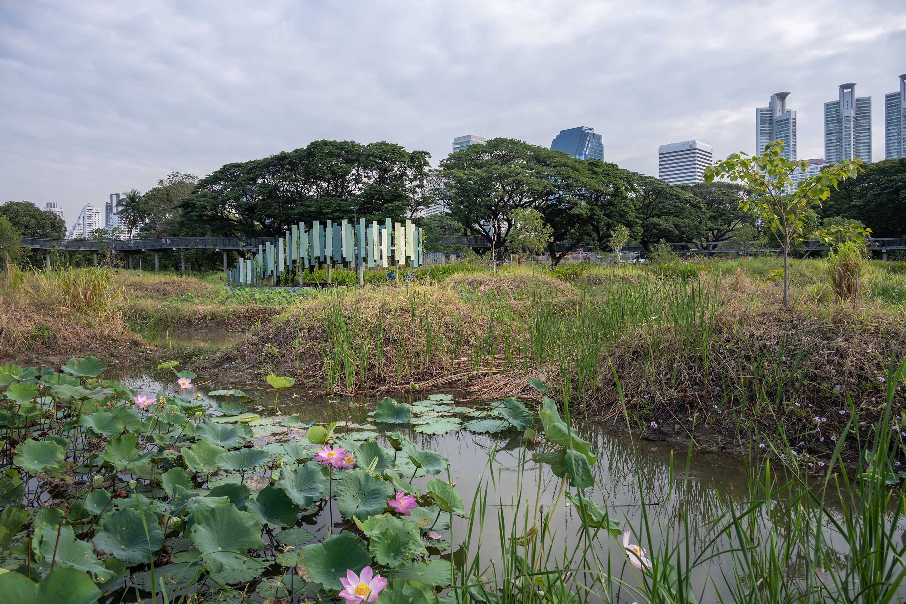 Benchakitti Rain Forest Observatory by HAS design and research - Architizer