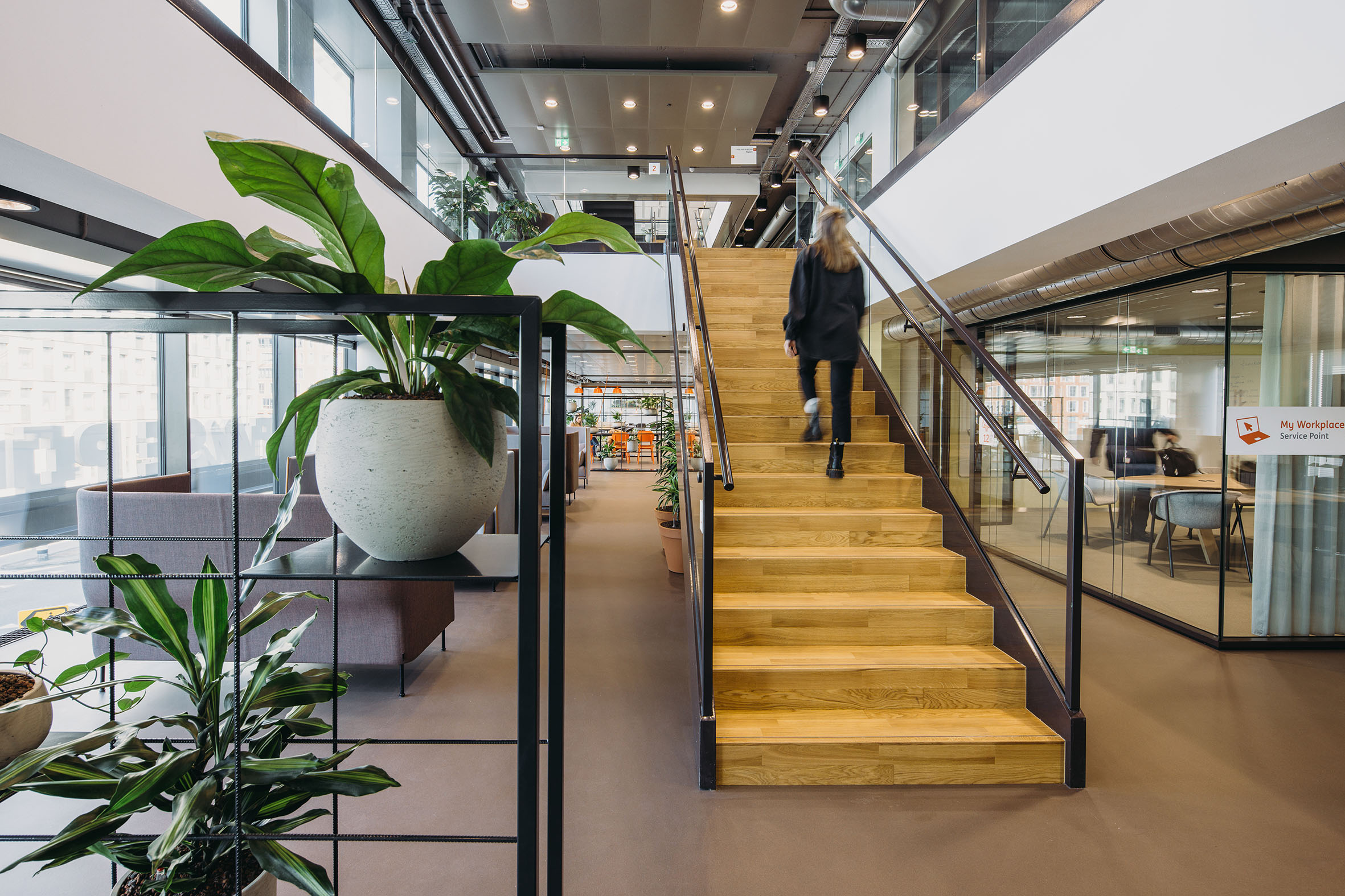 Renovation of ING Maple by atelier PRO architekten - Architizer