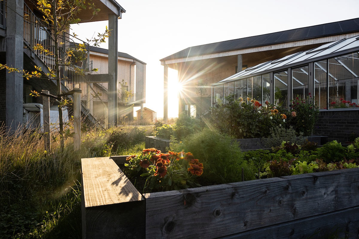 The senior co-housing community of the future by AART - Architizer