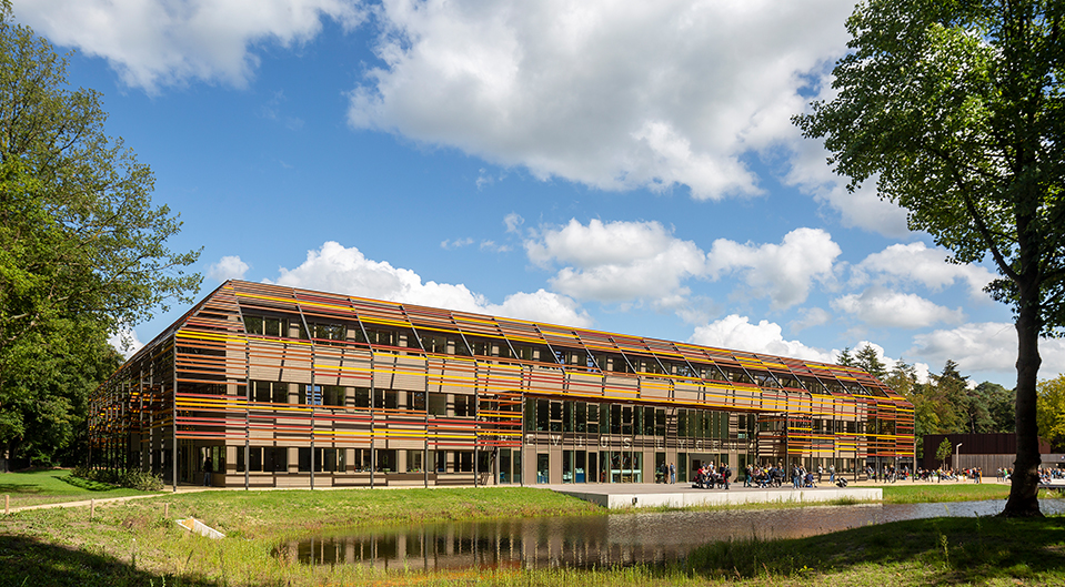 Revius Lyceum by MoederscheimMoonen Architects - Architizer