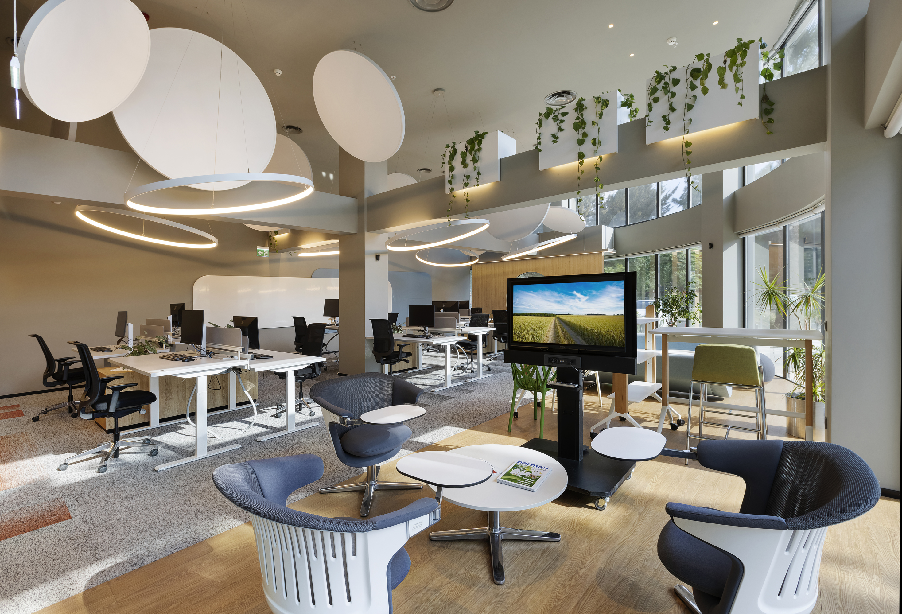 BASF Turk' s Izmir Office by mimaristudio - Architizer