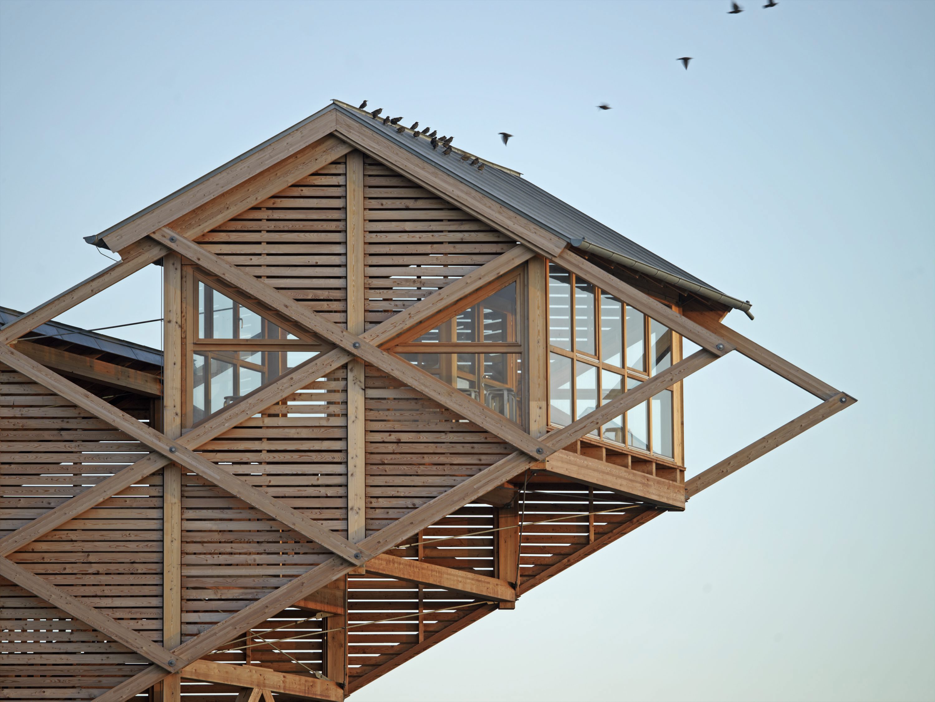 Bird Observation Tower by gmp · Architects von Gerkan, Marg und Partner ...
