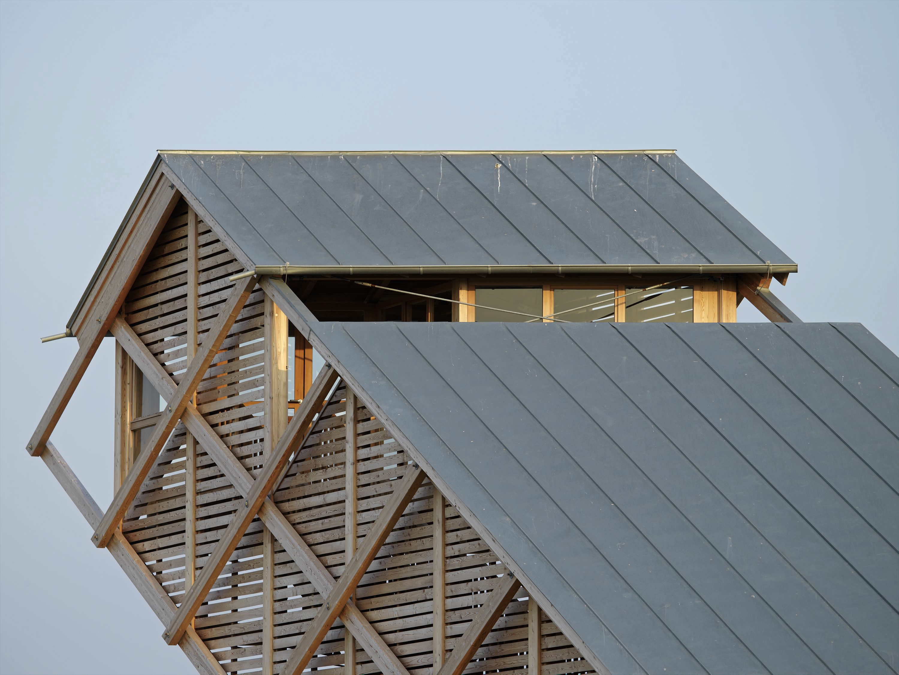 Bird Observation Tower by gmp · Architects von Gerkan, Marg und Partner ...