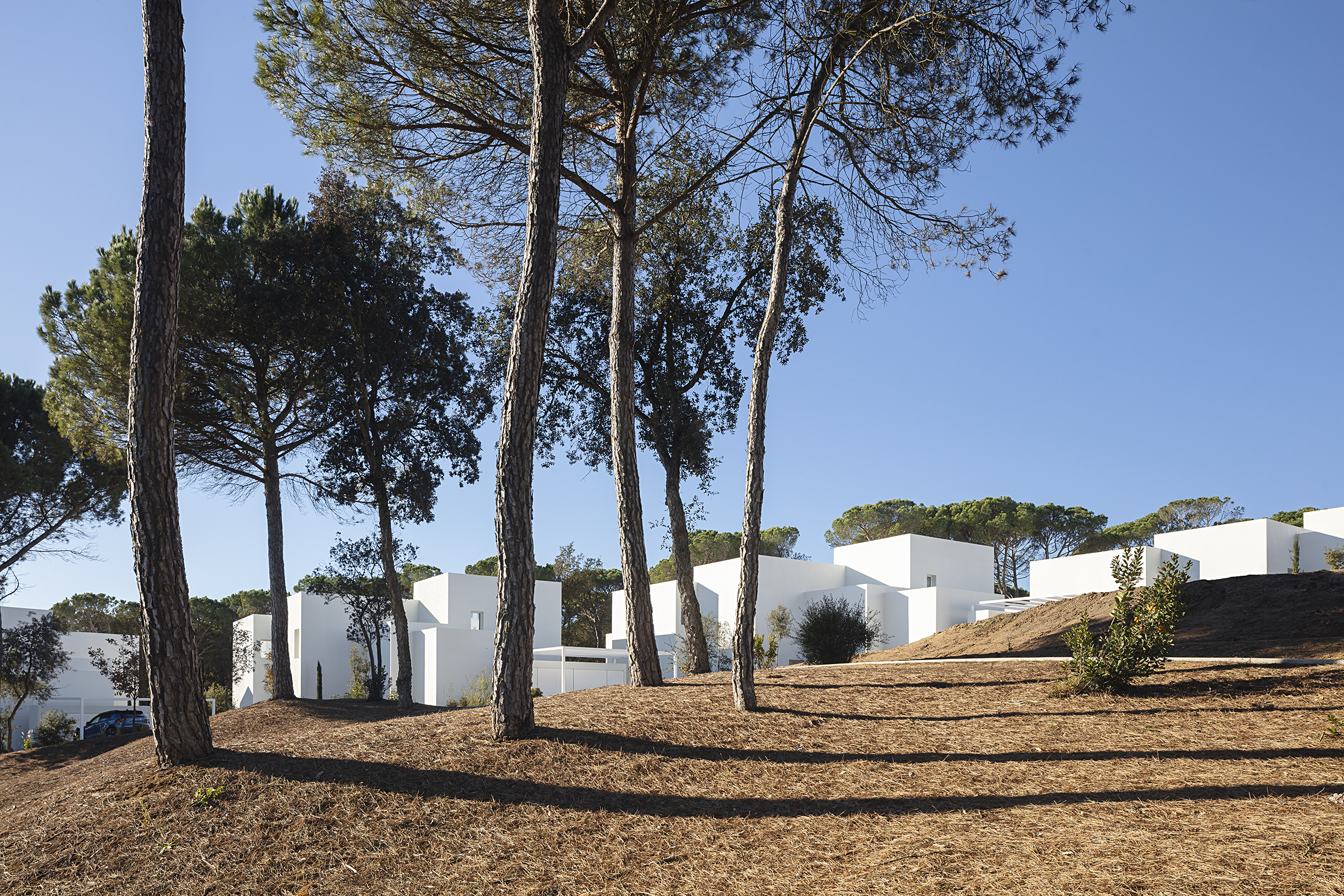 Architizer: Architectural Projects and Design Interiors